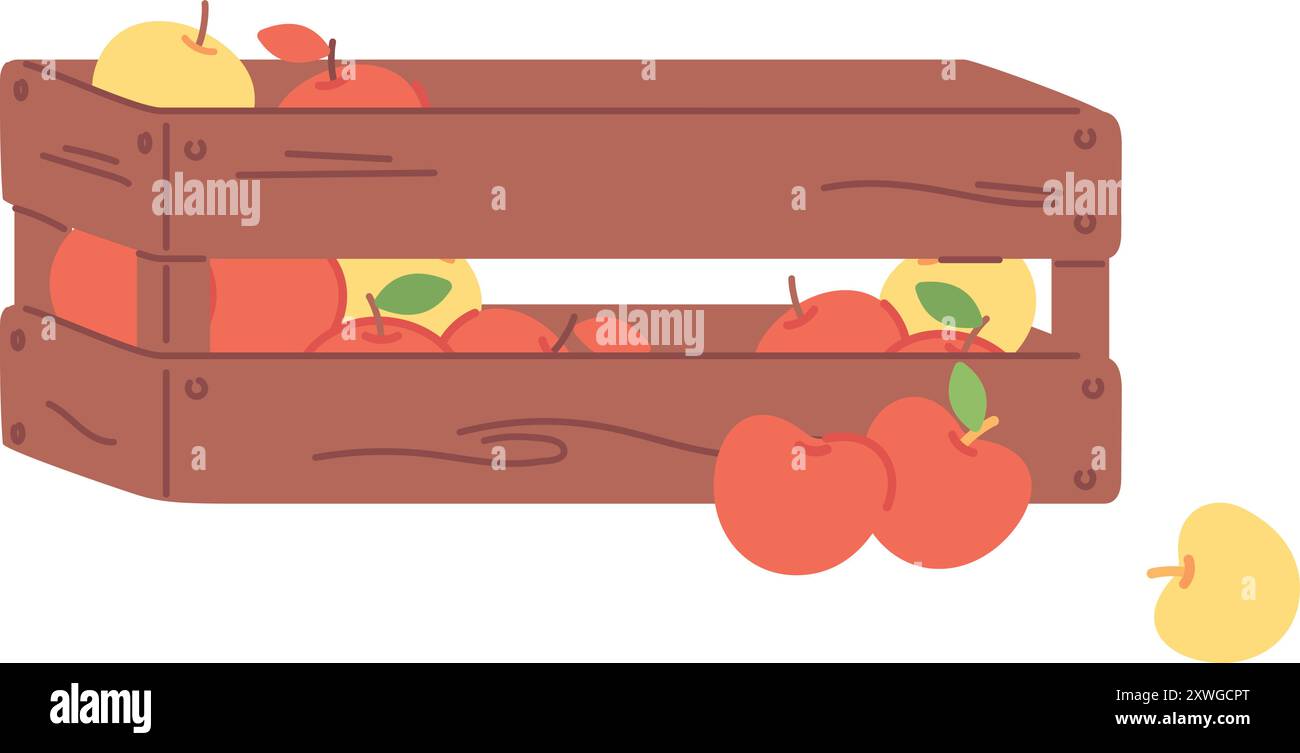 Wooden box with apples. Local farm organic fruits isolated on white ...