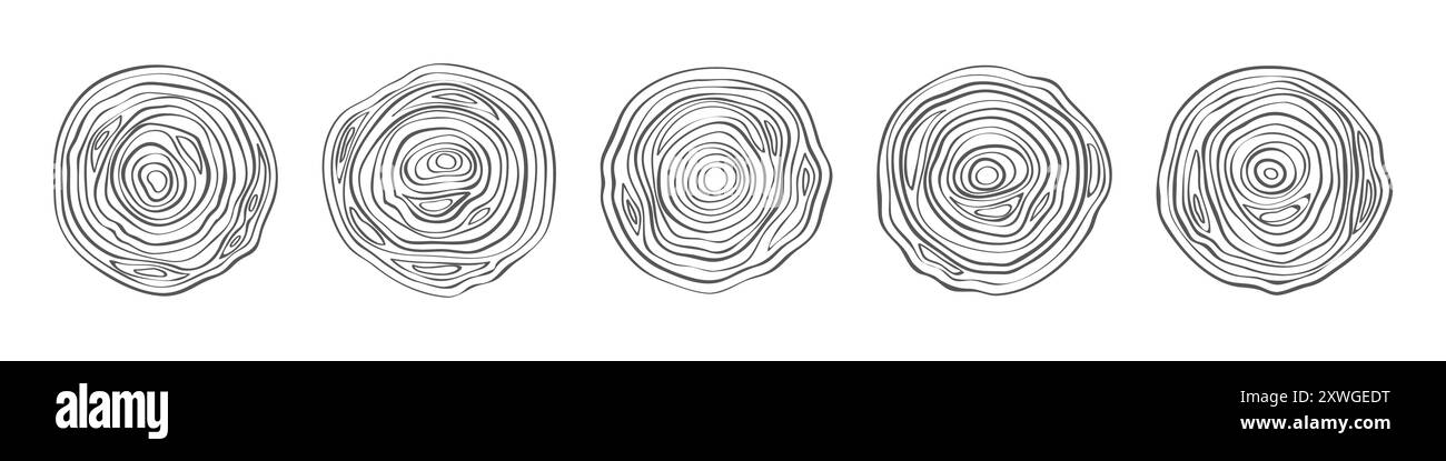 Tree trunks round sections. Circular wood rings, topographic map lines ...