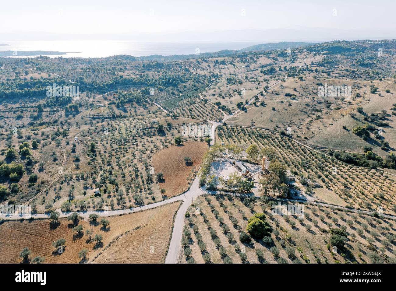 Olive plantations near farms on the mountain slopes. Greece. Drone ...