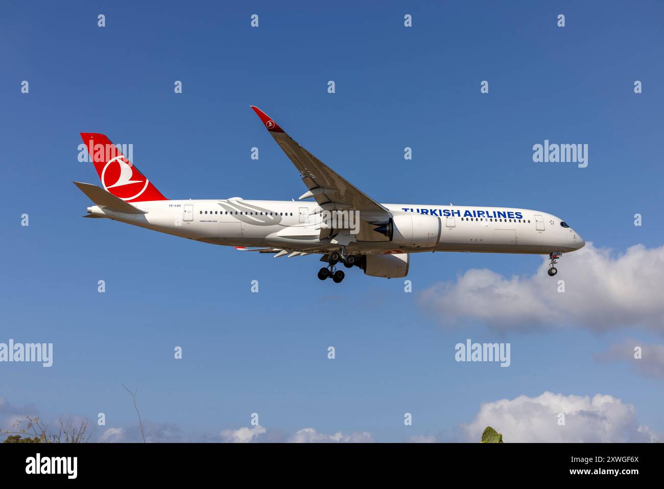 Turkish Airlines Airbus A350-941 (Reg.: TC-LGU) replacing the smaller A320-321 or B737 Stock ...