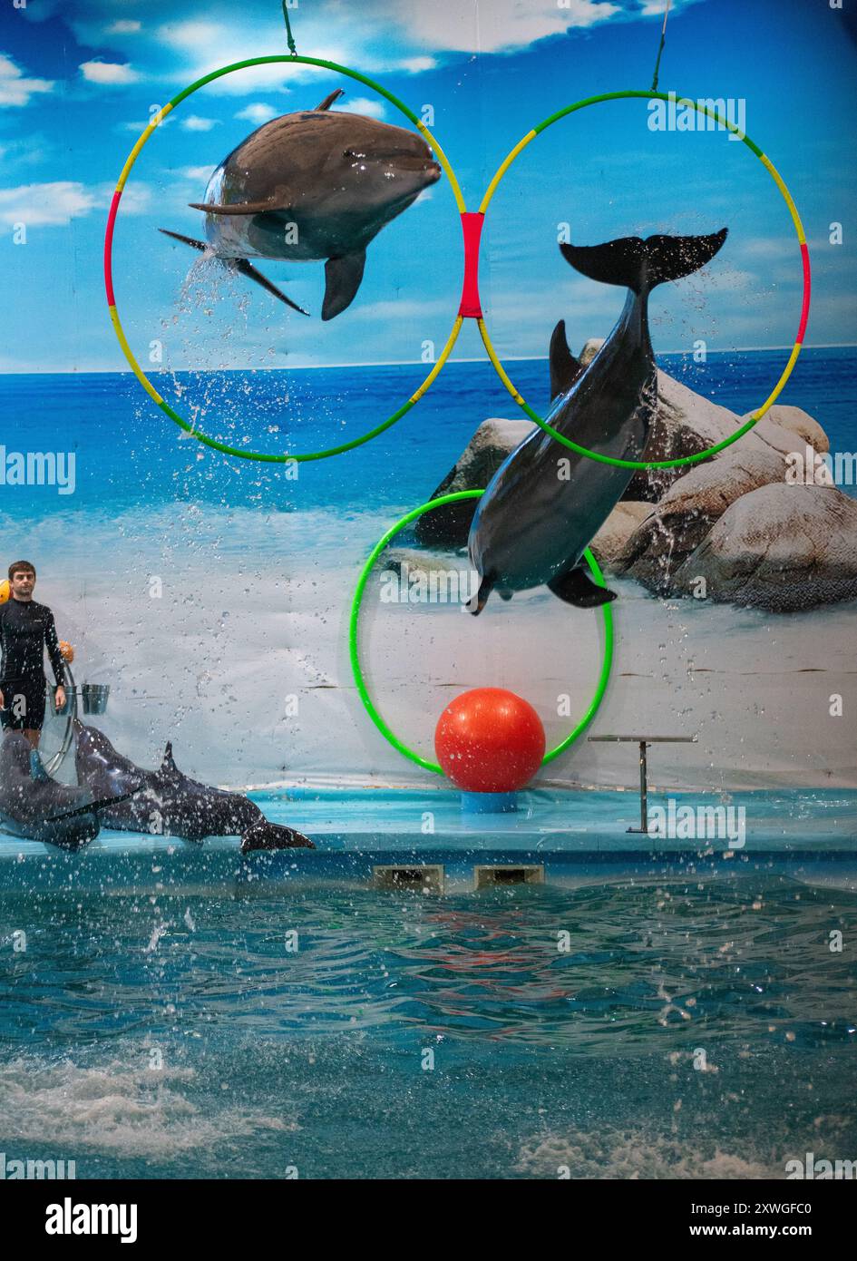 Phuket dolphin hi-res stock photography and images - Alamy