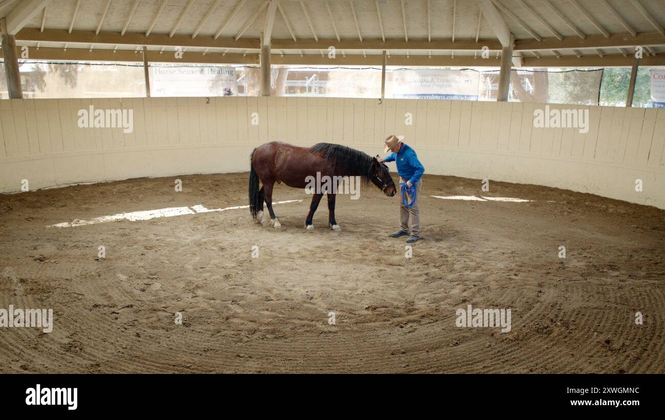 THE COWBOY AND THE QUEEN, horse trainer Monty Roberts at Flag is Up ...