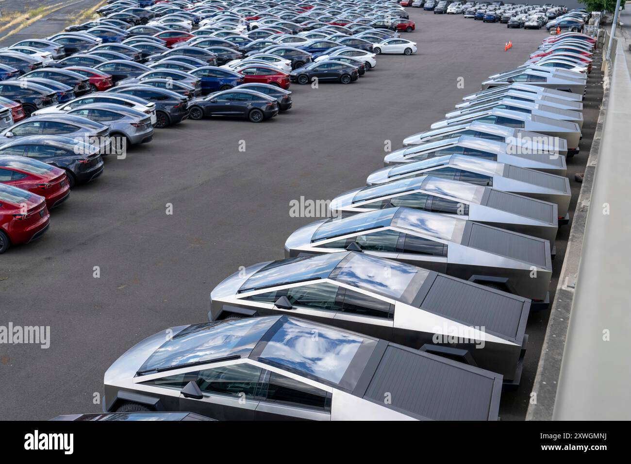 Seattle, Washington, USA. 18th Aug, 2024. Hundreds of new Tesla ...