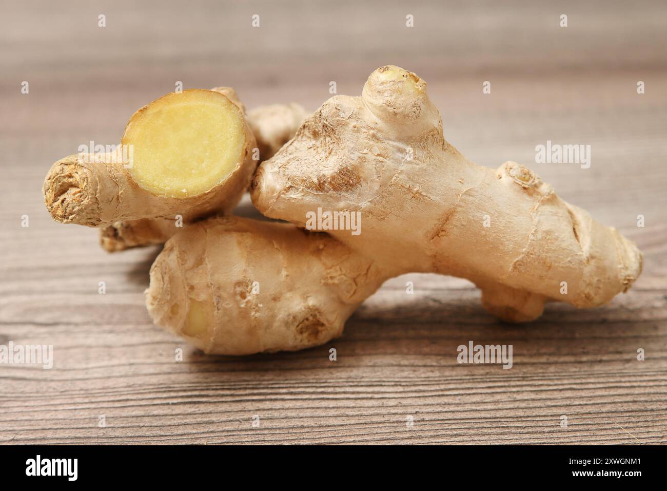ginger, common ginger, cooking ginger, Canton ginger (Zingiber ...