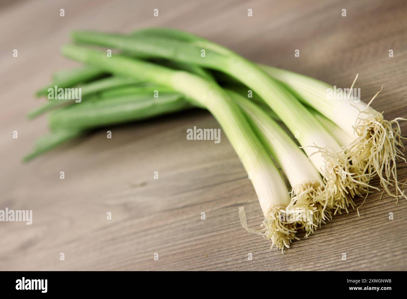 welsh onion (Allium fistulosum), welsh onion on a desk Stock Photo - Alamy