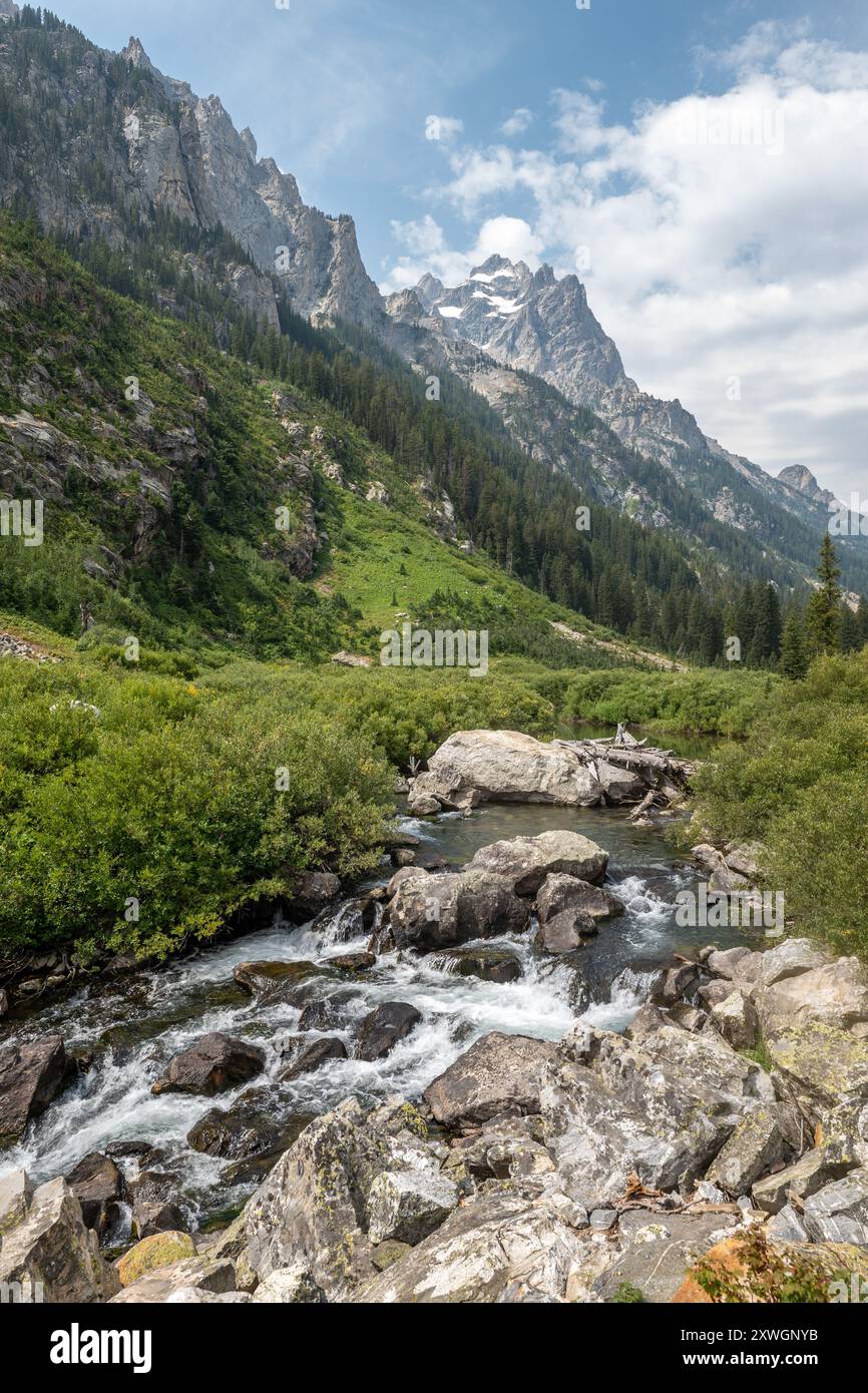 The Cascade Canyon Trail in Grand Teton National Park Stock Photo - Alamy