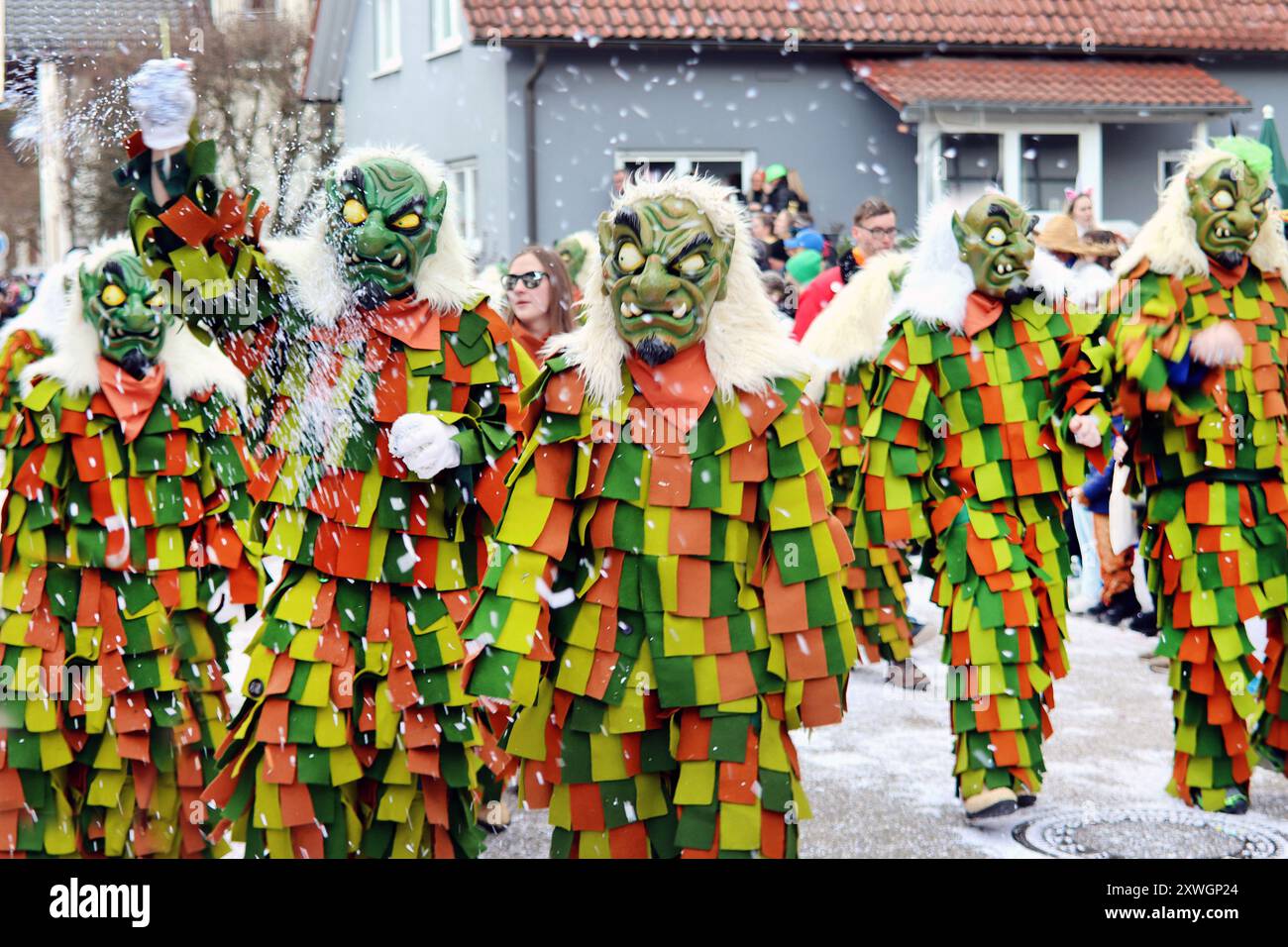 Fools in fancy dress at the Swabian-Alemannic carnival parade, Germany ...