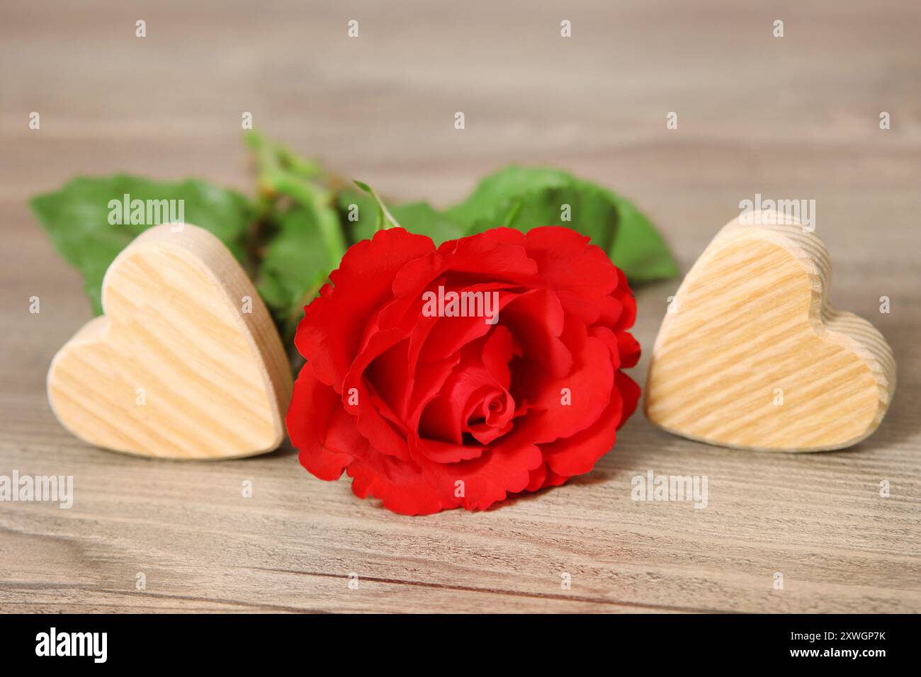 red rose between two wooden hearts Stock Photo - Alamy