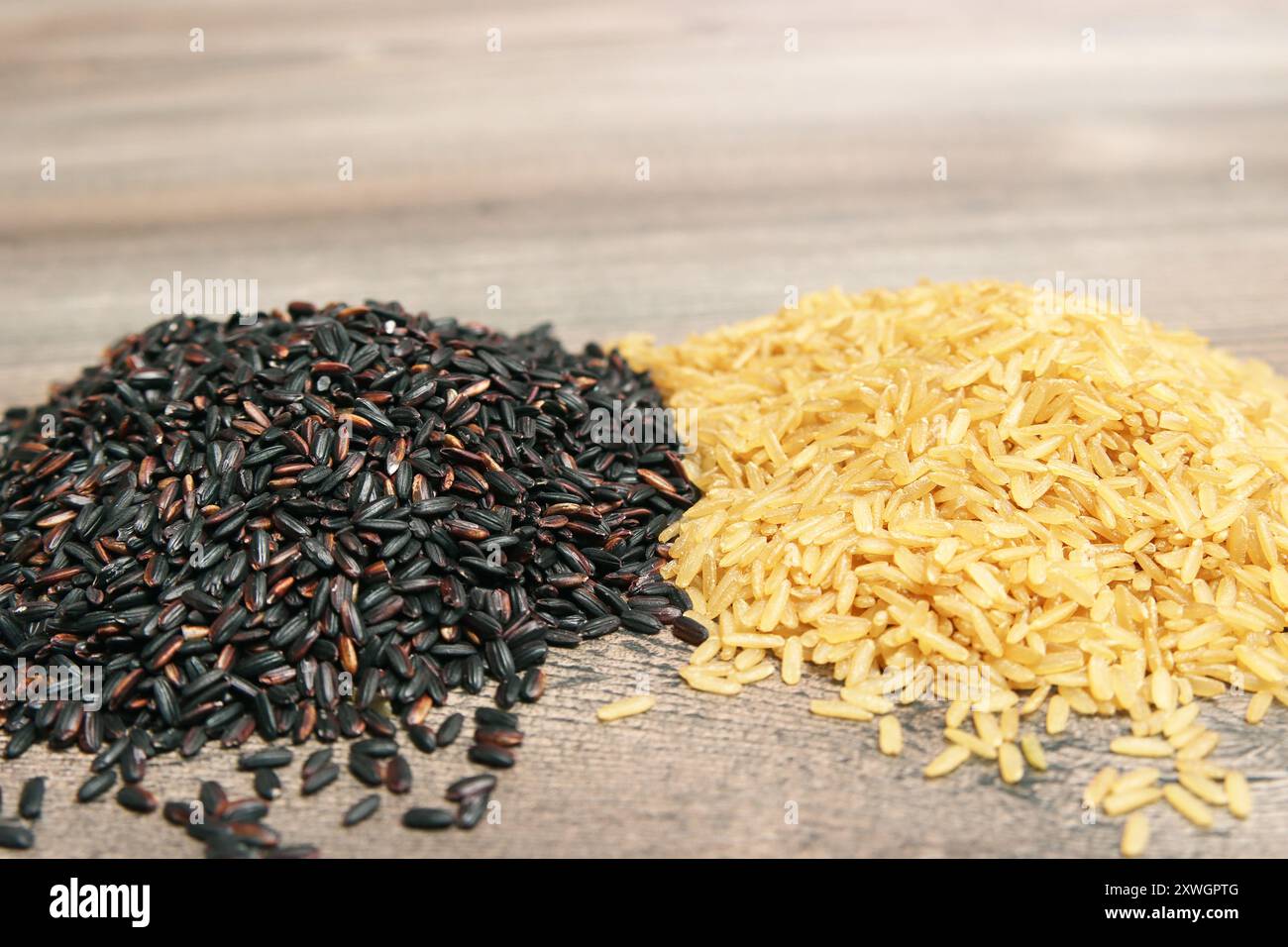 common rice (Oryza sativa), different types of rice Stock Photo - Alamy