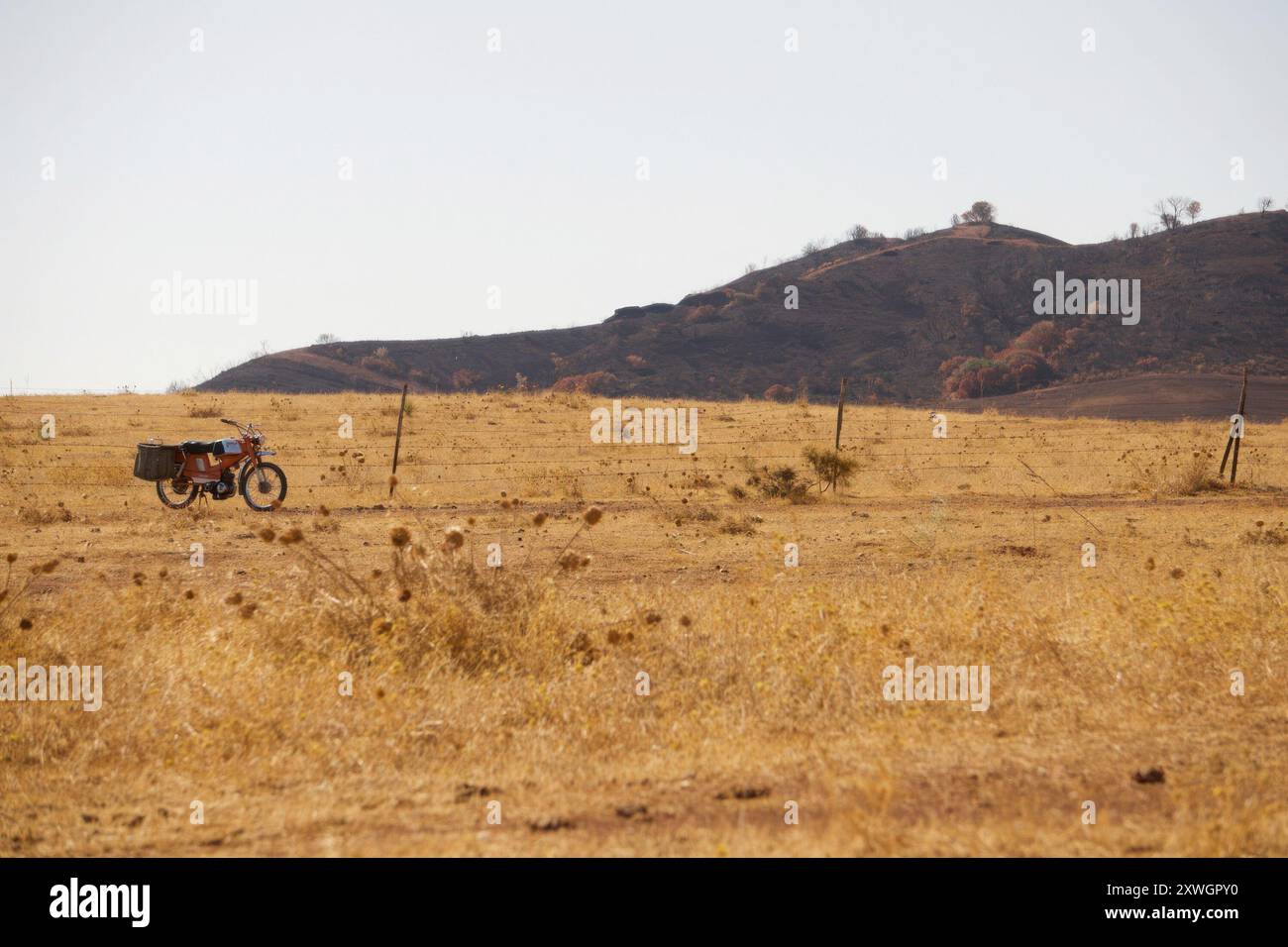 THE WAIT, (aka LA ESPERA), 2023. © Film Movement / courtesy Everett ...