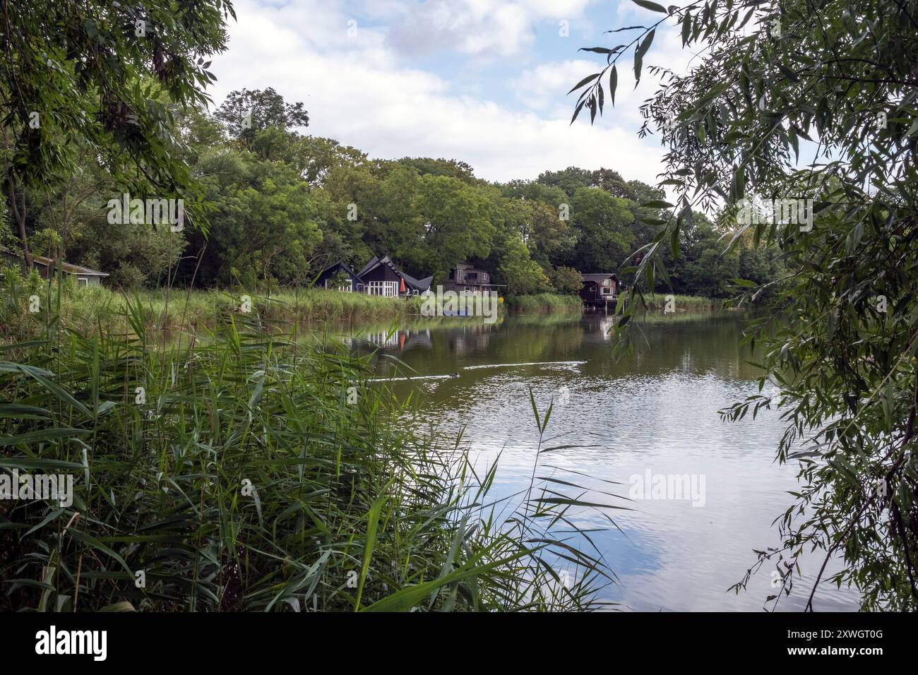 Local color in the Christiania neighborhood of Copenhagen, Denmark ...