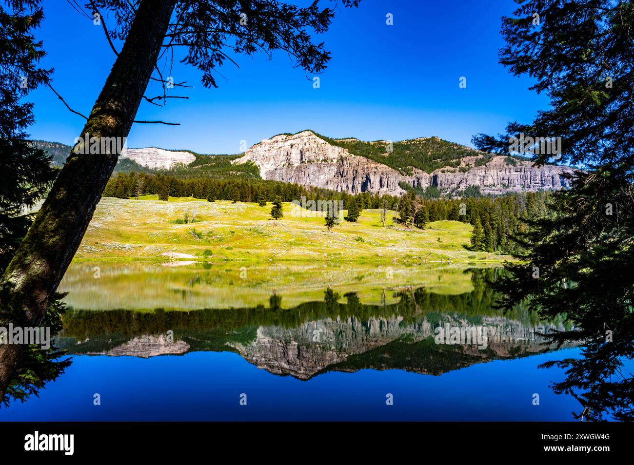 Yellowstone Trout Lake with reflections Stock Photo - Alamy