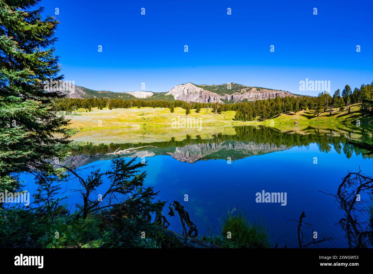 Yellowstone Trout Lake with reflections Stock Photo - Alamy