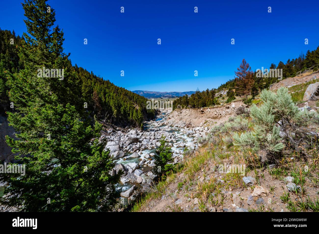 Yellowstone Lost Lake Stock Photo - Alamy