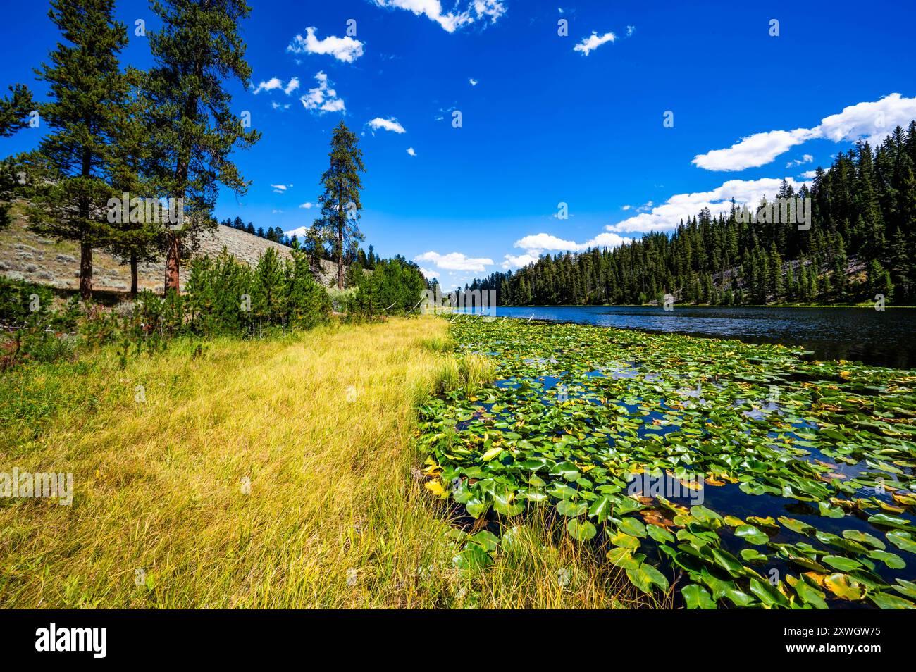 Yellowstone Lost Lake Stock Photo - Alamy