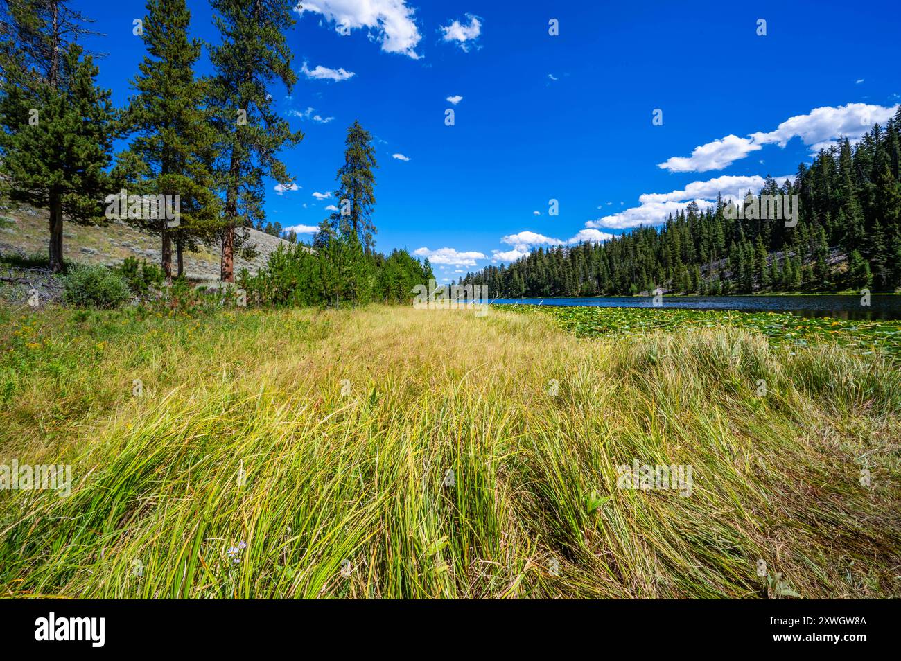 Yellowstone lake hike hi-res stock photography and images - Alamy