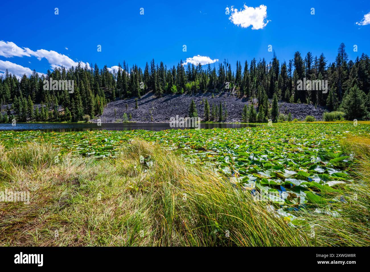Yellowstone Lost Lake Stock Photo - Alamy