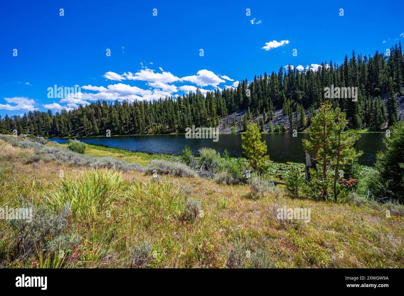 Yellowstone Lost Lake Stock Photo - Alamy