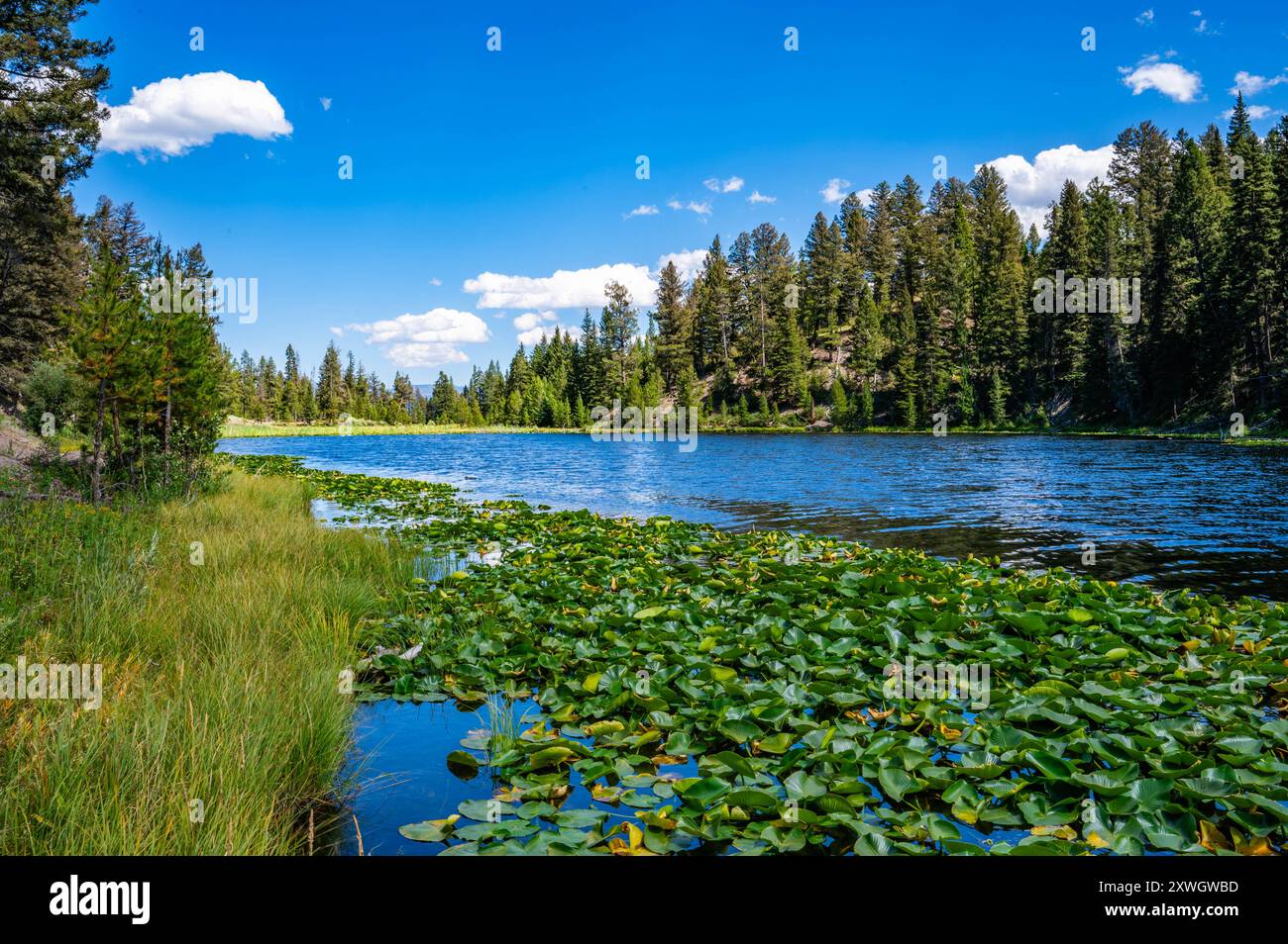 Yellowstone Lost Lake Stock Photo - Alamy