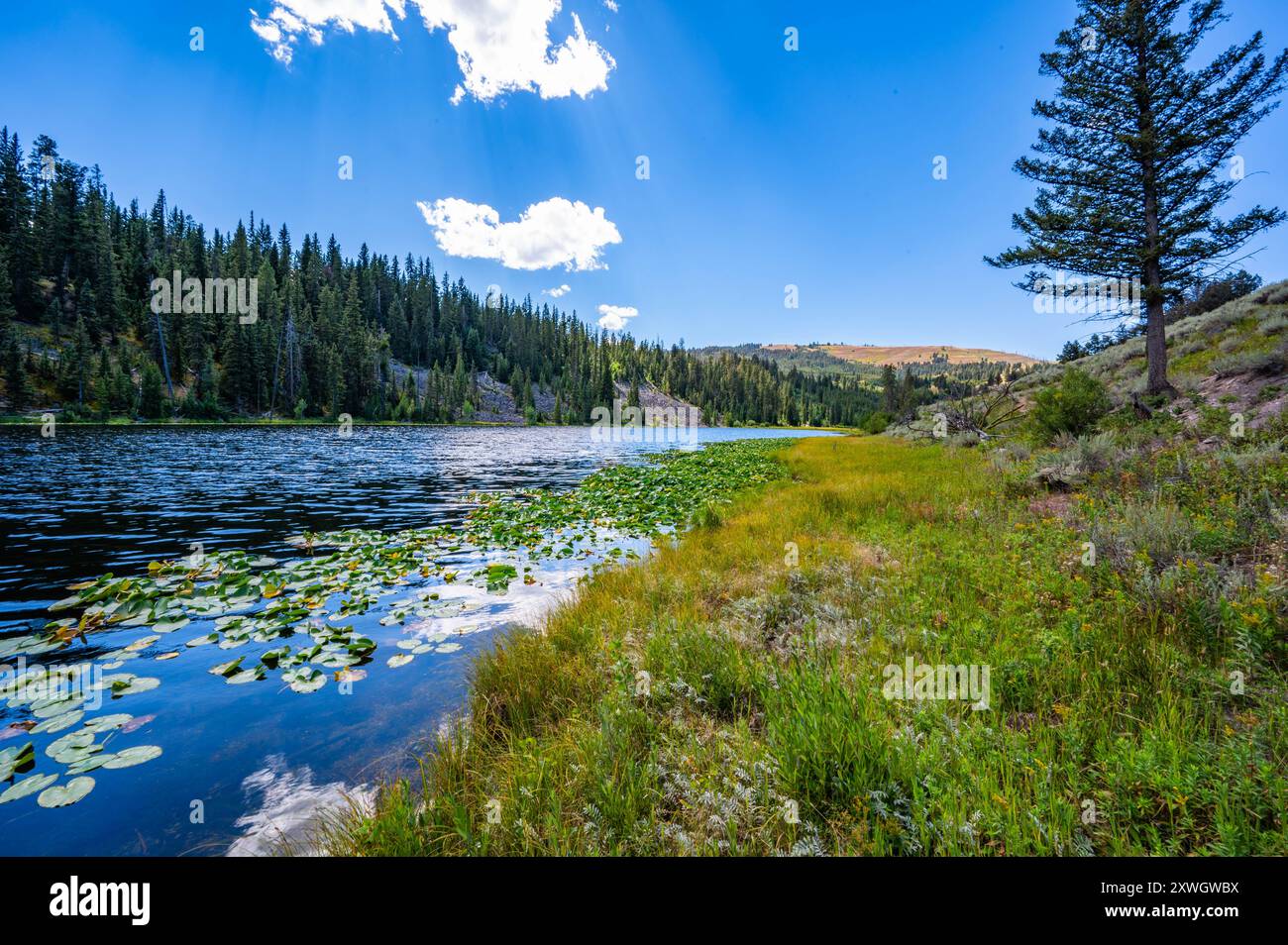 Yellowstone Lost Lake Stock Photo - Alamy