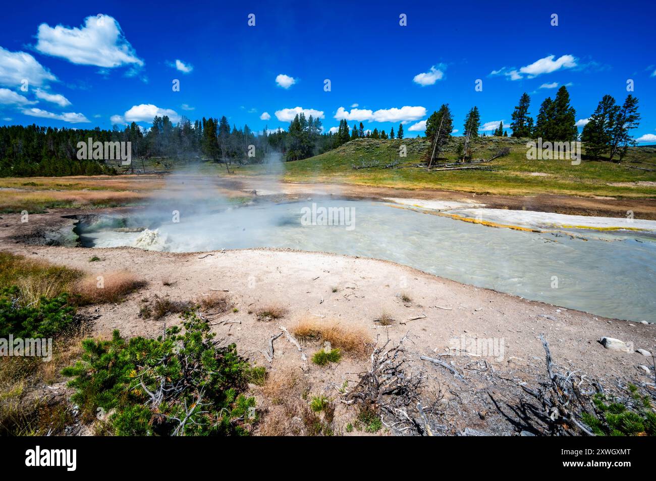 Yellowstone National Park Mud Volcano and Dragon Mouth hike with geyser ...