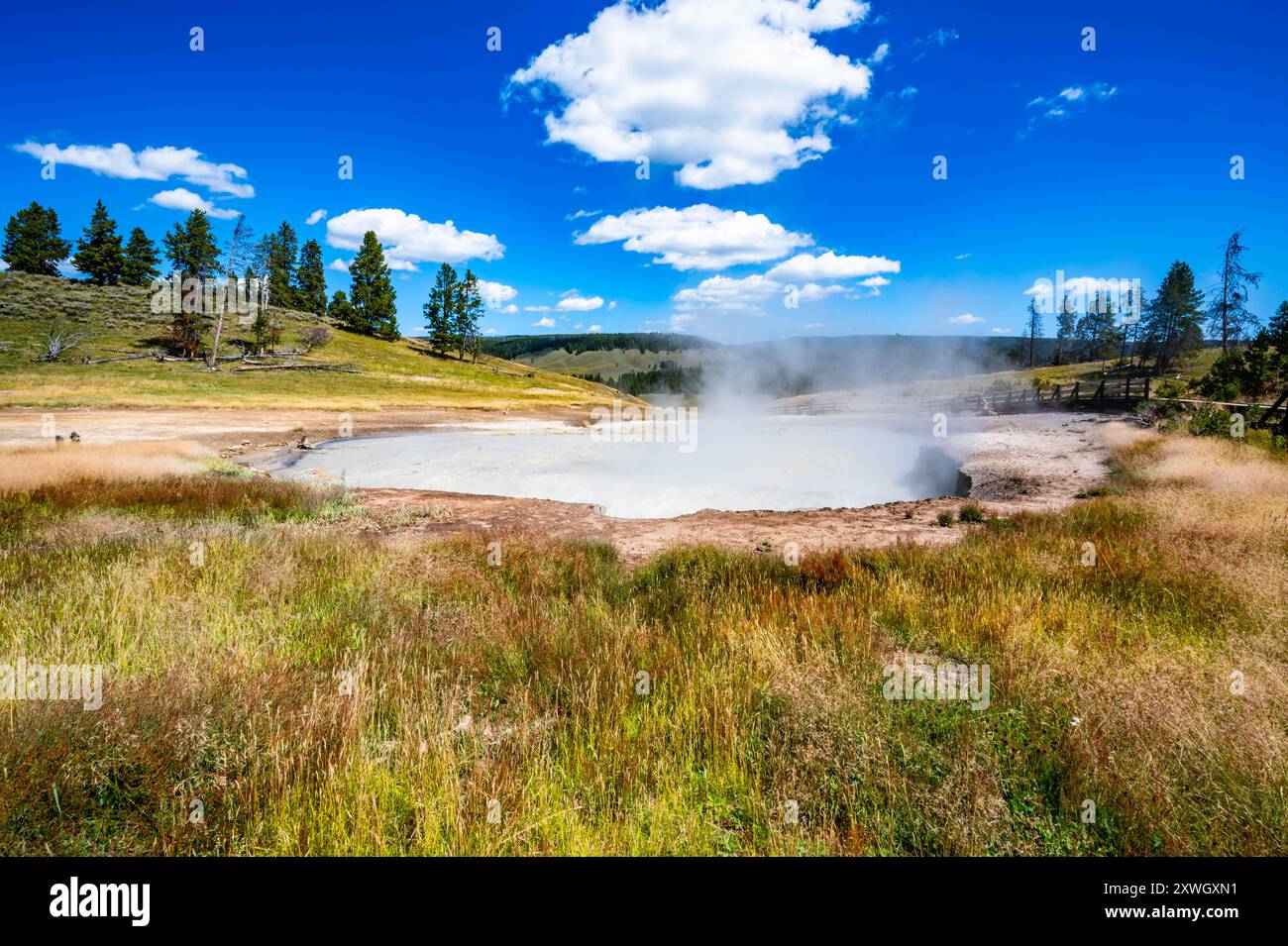 Yellowstone National Park Mud Volcano and Dragon Mouth hike with geyser ...