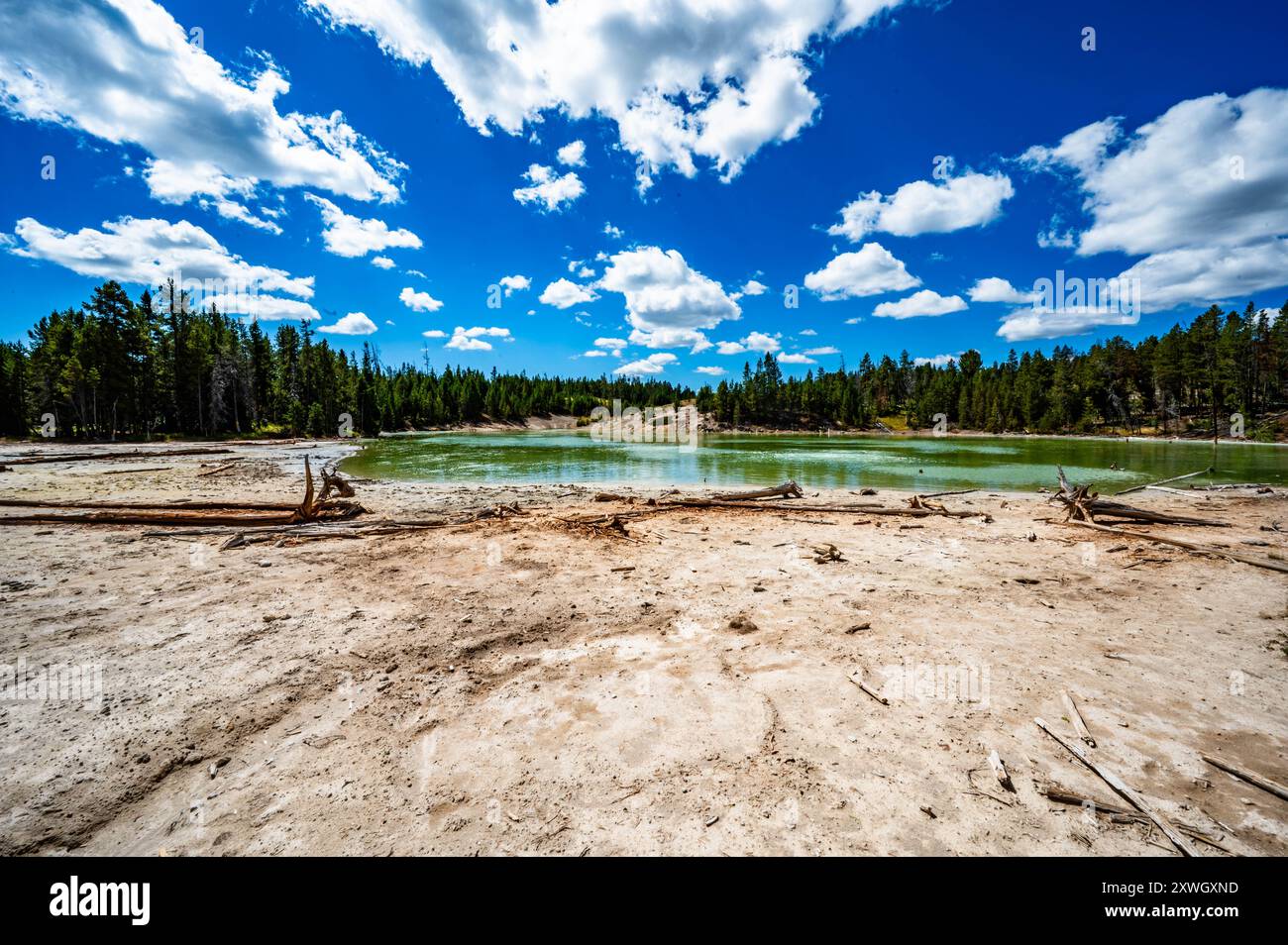 Yellowstone National Park Mud Volcano and Dragon Mouth hike with geyser ...