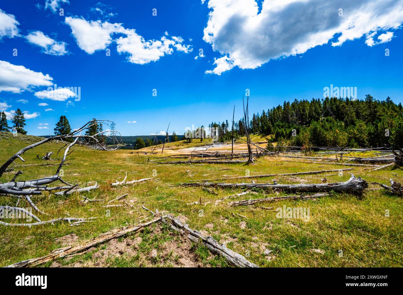 Yellowstone National Park Mud Volcano and Dragon Mouth hike with geyser ...