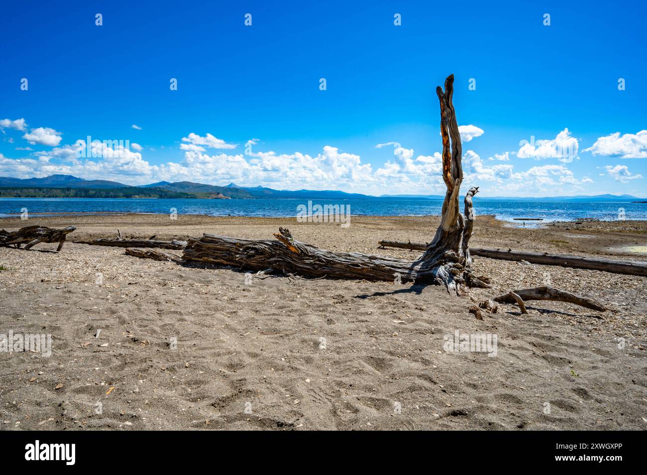 Yellowstone National Park hike to Storm Point with beautiful views of ...
