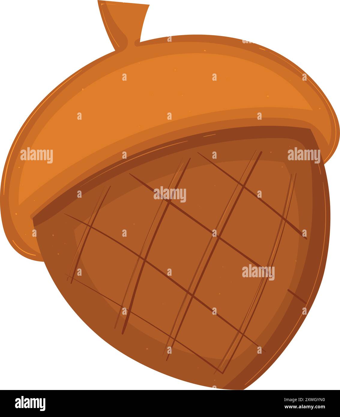 Acorn nut cap Stock Vector Images - Alamy