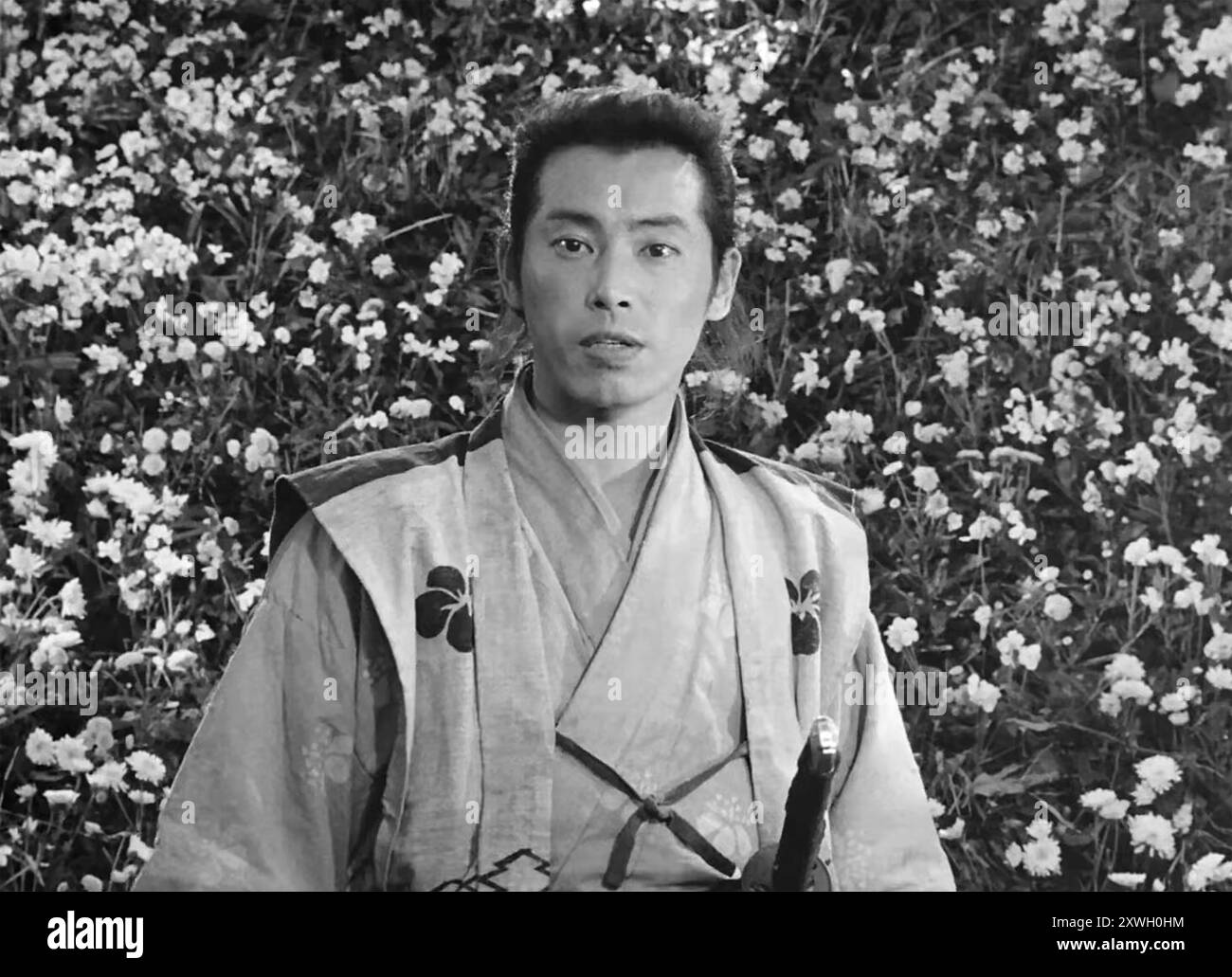 Japan. Isao Kimura in the 2024 4K release of the film Seven Samurai ...