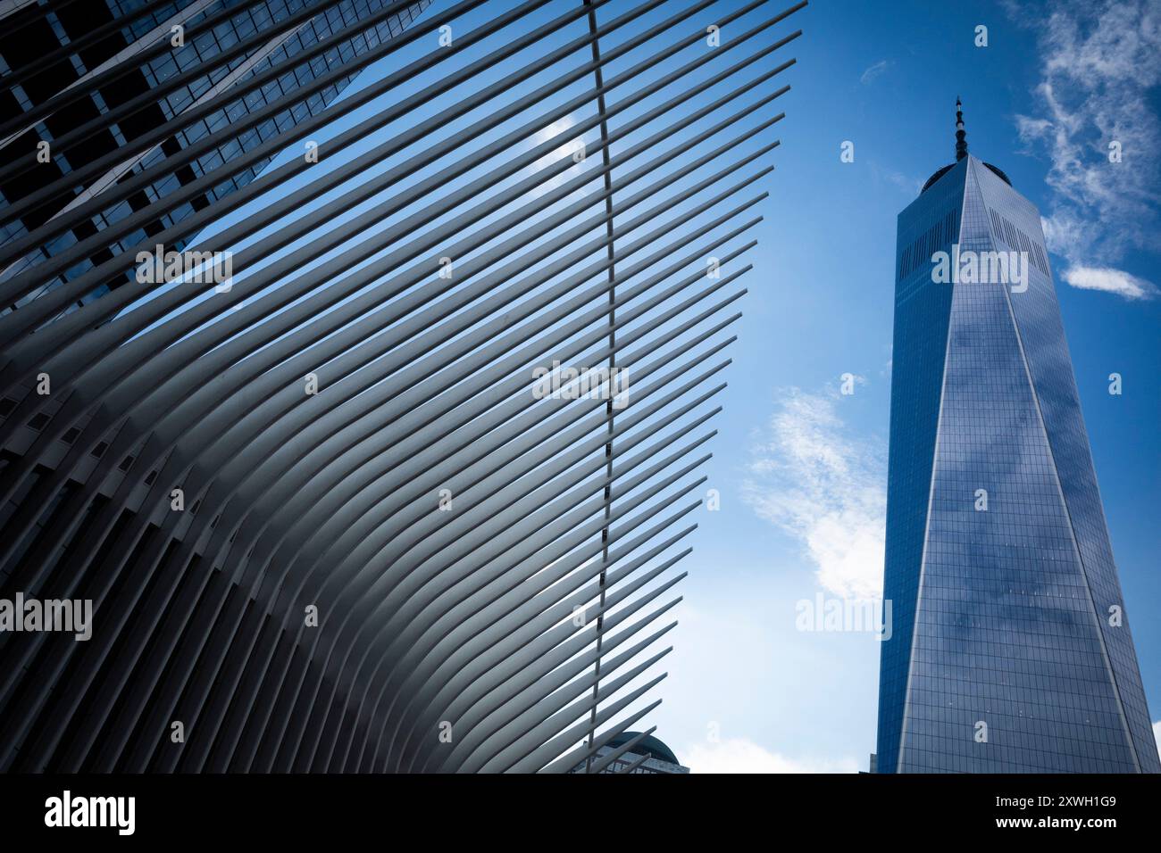 August 19, 2024, New York, New York, United States of America: The ...