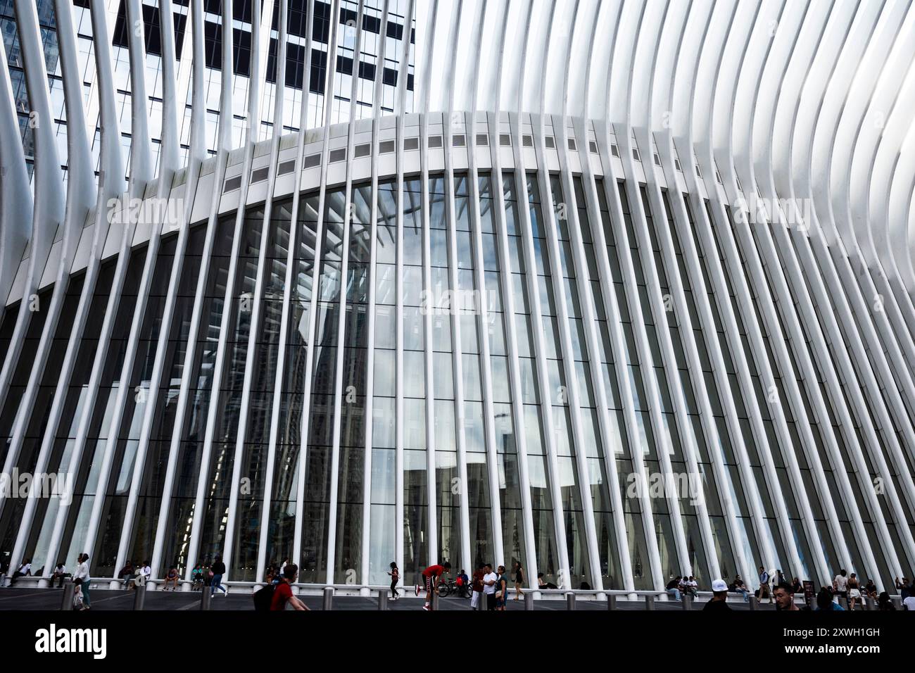 New York, New York, USA. 19th Aug, 2024. The Oculus WTC transportation ...