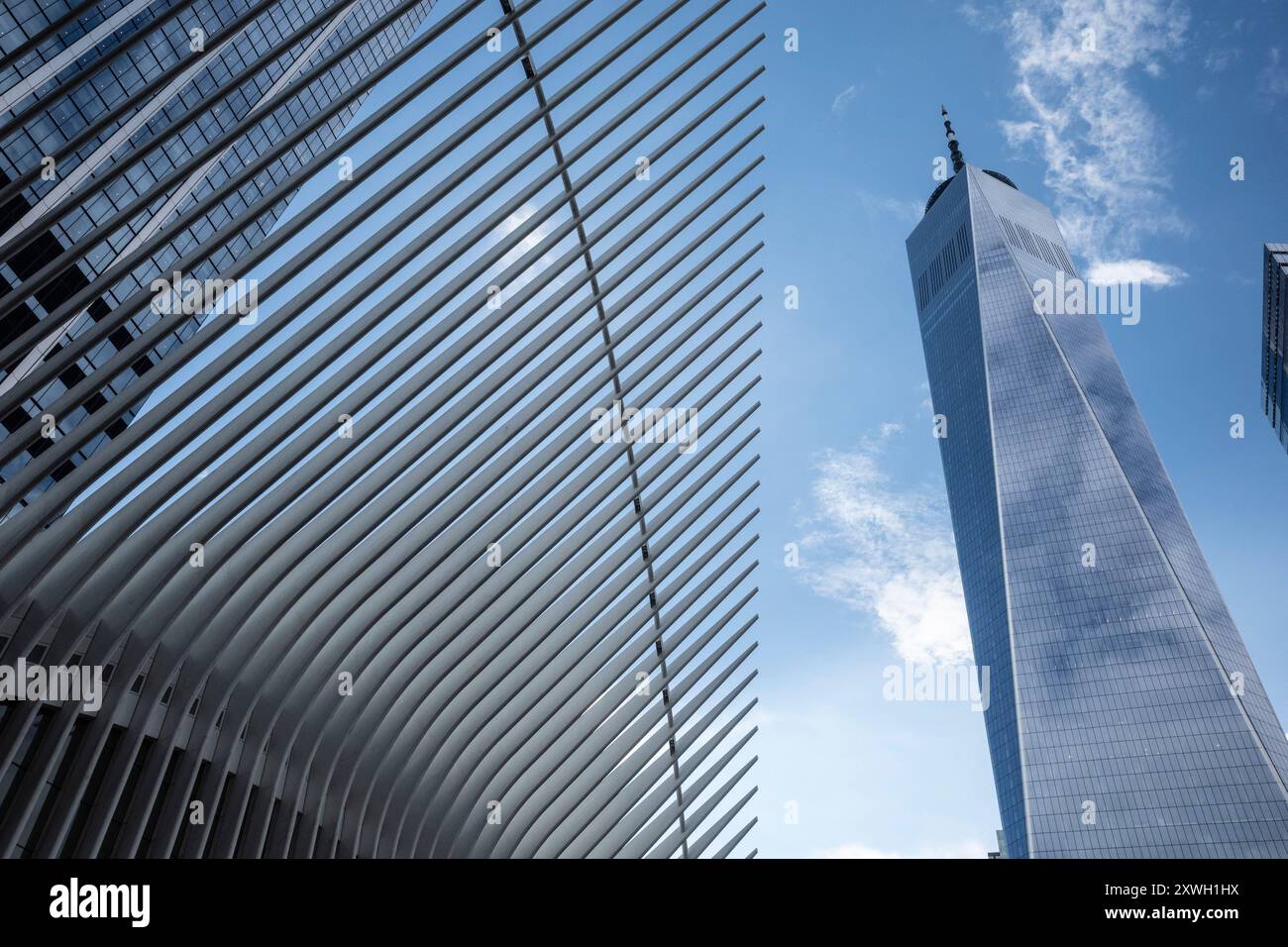 New York, New York, USA. 19th Aug, 2024. The Freedom Tower and the ...