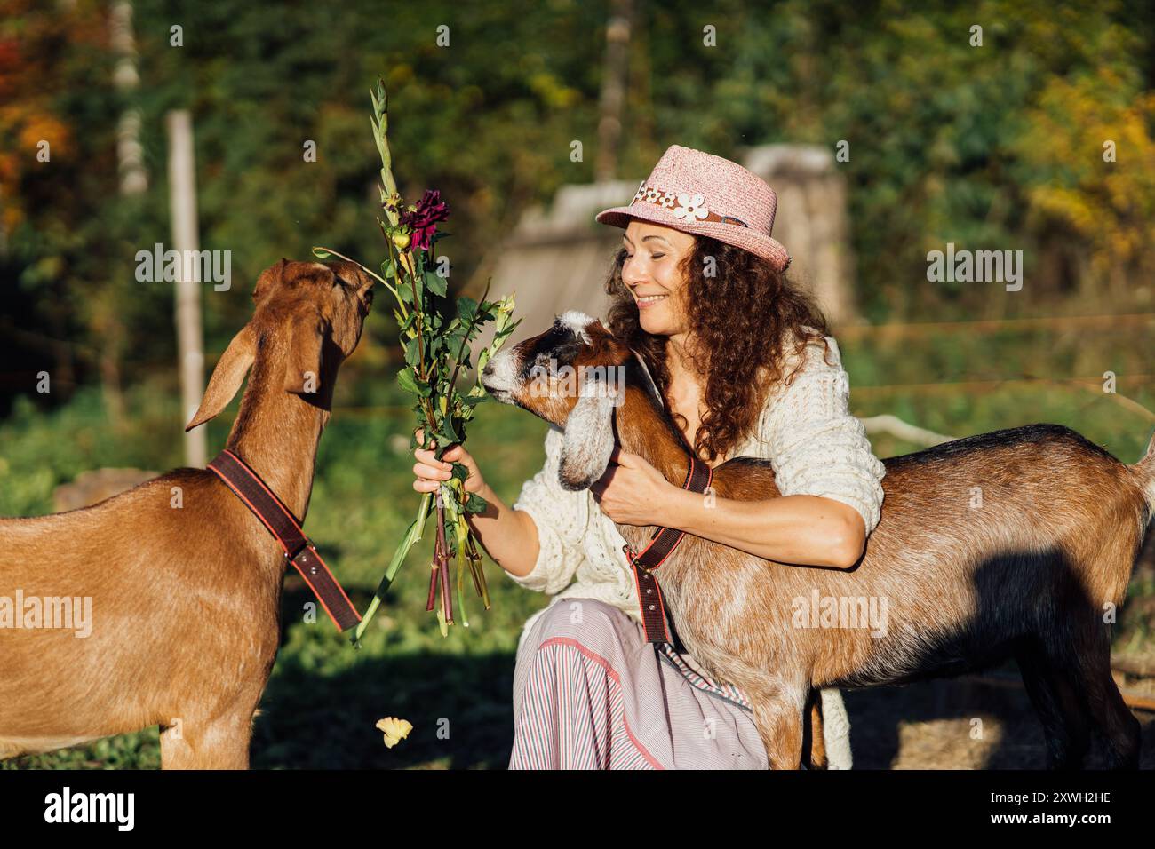 Middle-aged woman enjoying a tender moment with goats in the ...