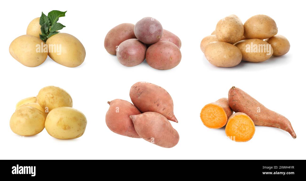 Different types of potatoes isolated on white, collection Stock Photo ...