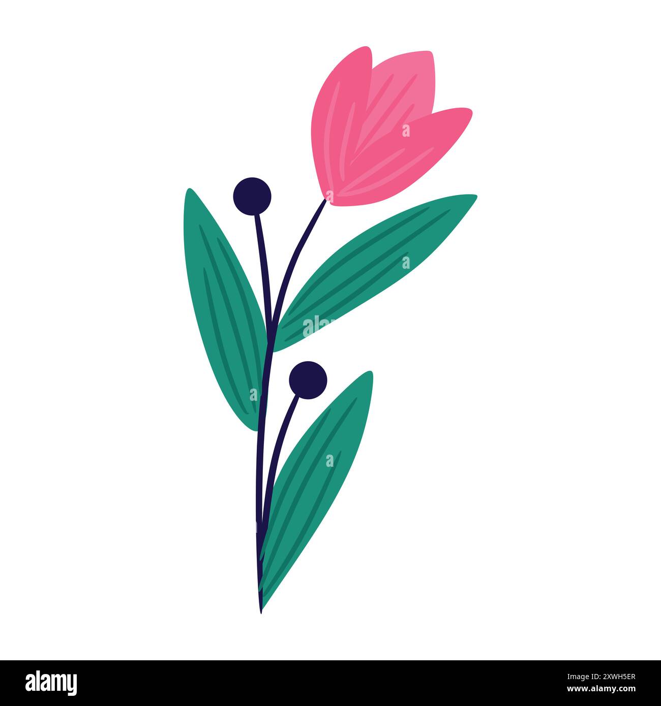 Branding beauty graphics Stock Vector Images - Alamy