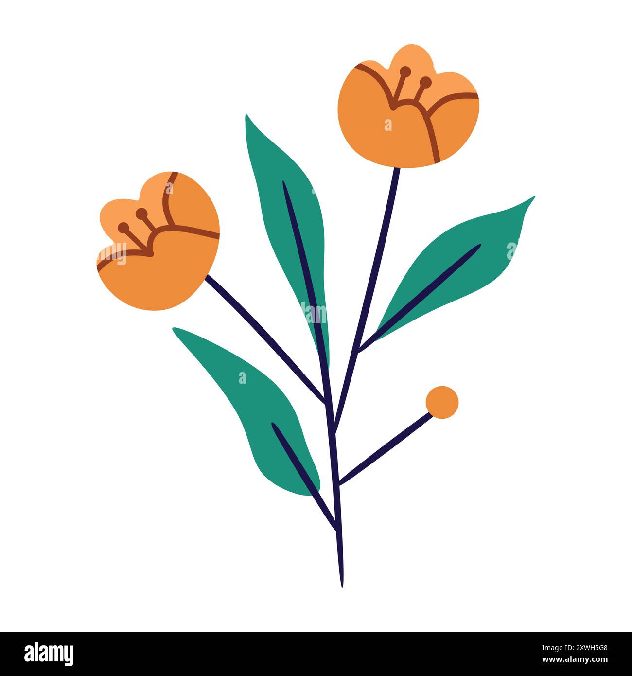 Captivating botany Stock Vector Images - Alamy