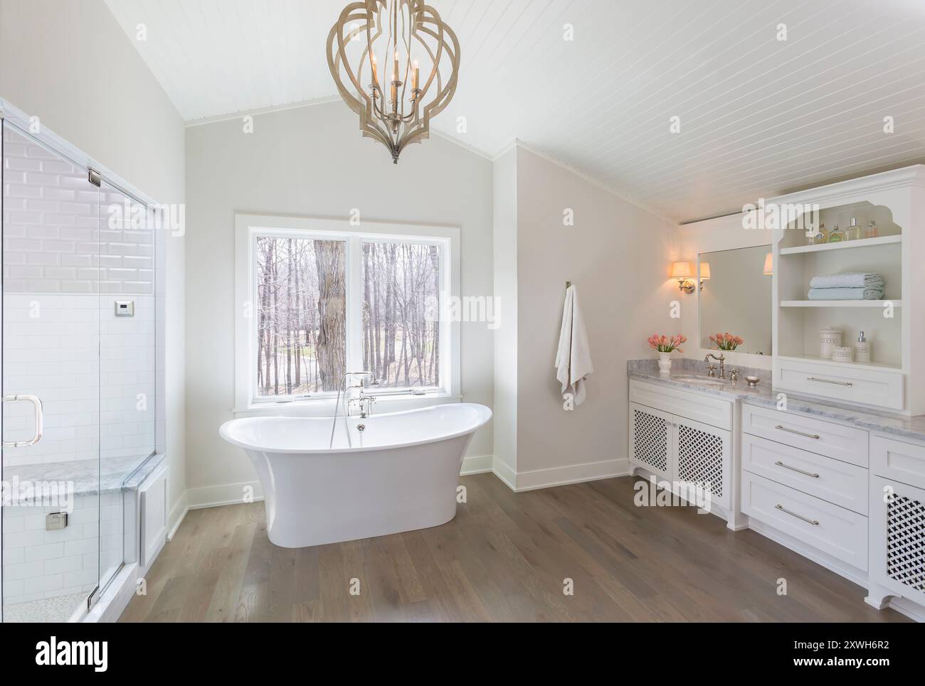 Upscale bathroom with large walk-in shower and large soaker tub Stock ...