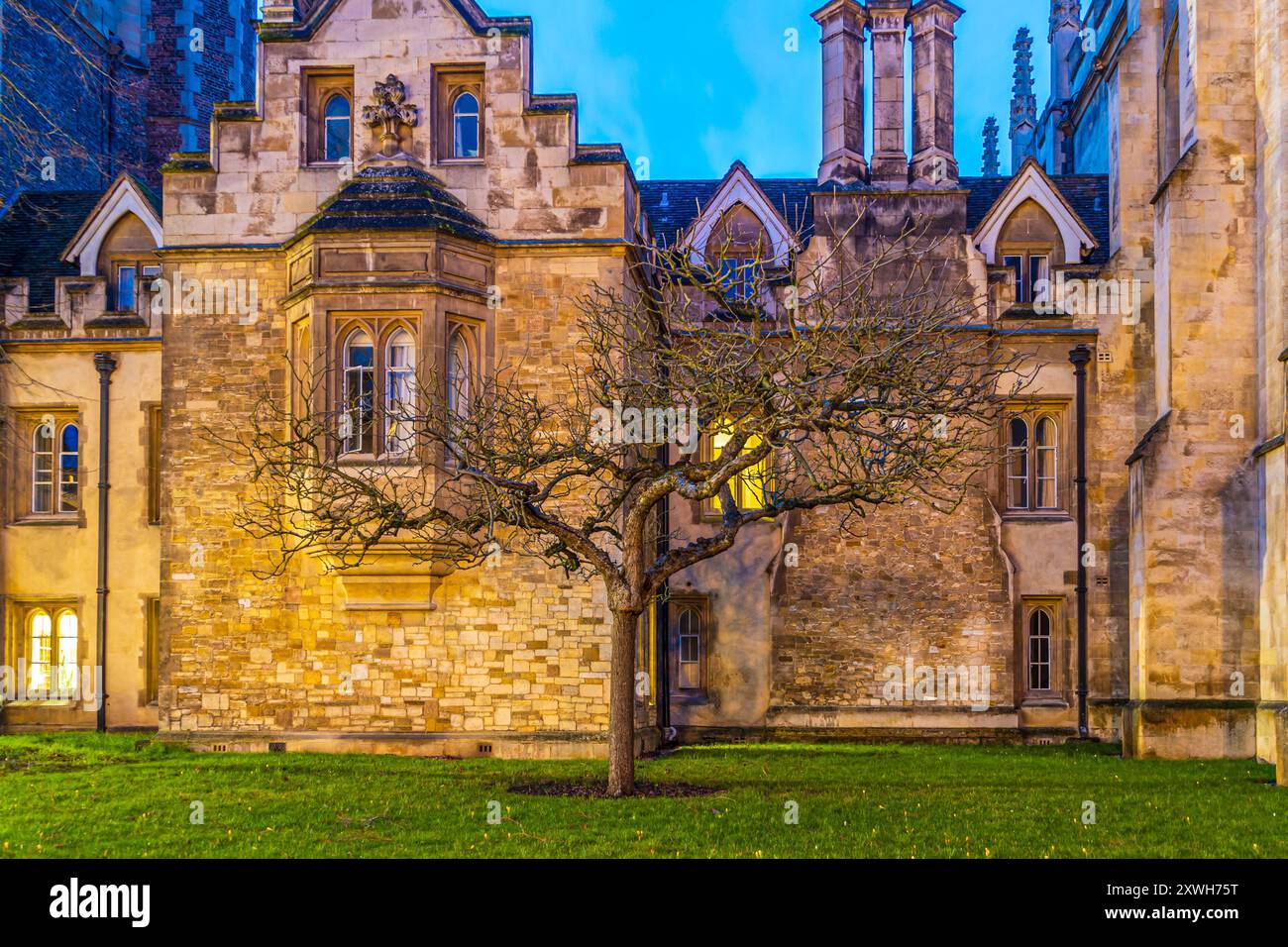 Newtons apple tree hi-res stock photography and images - Alamy