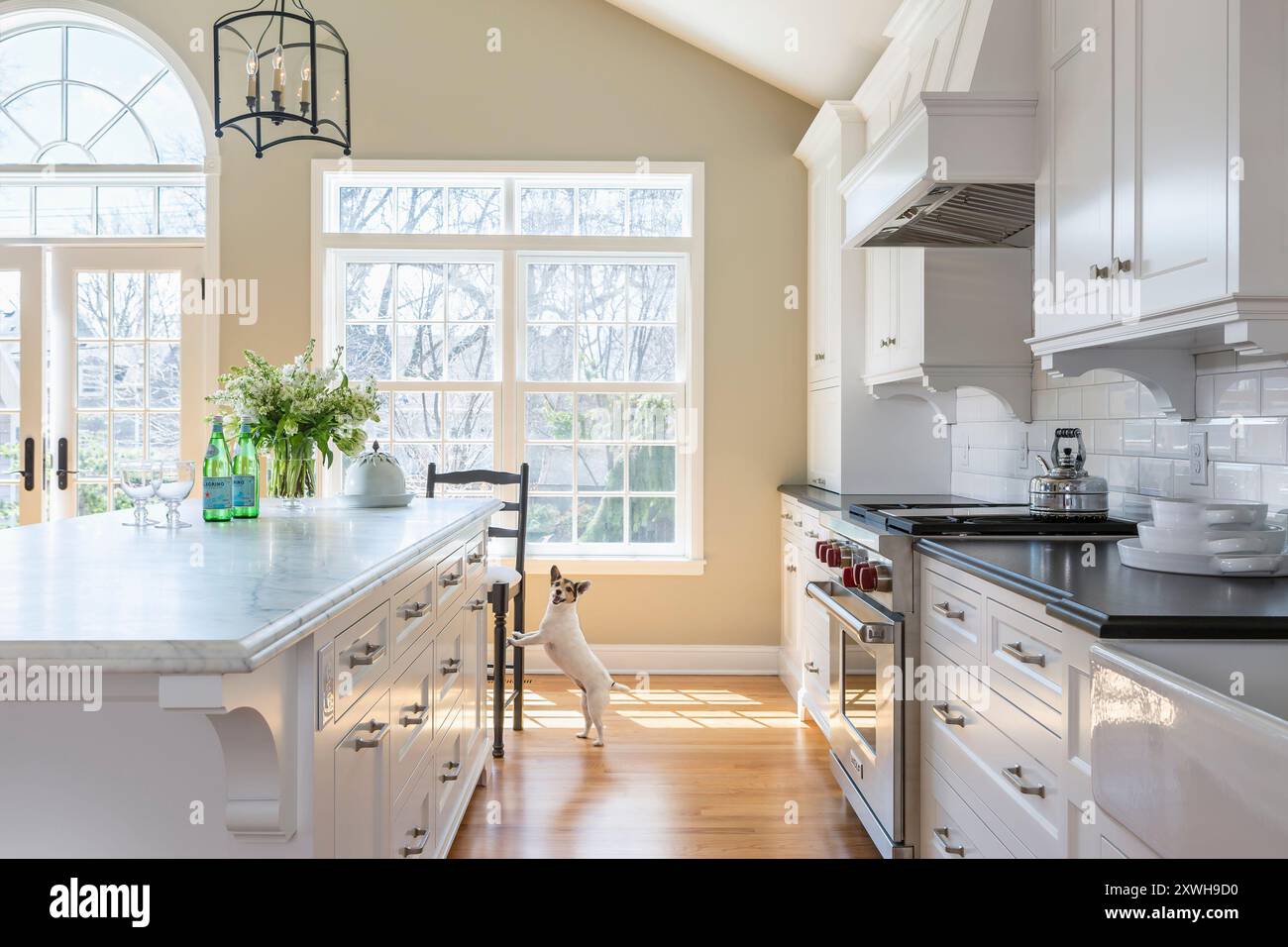White kitchen with view toward windows and french doors and dog with ...