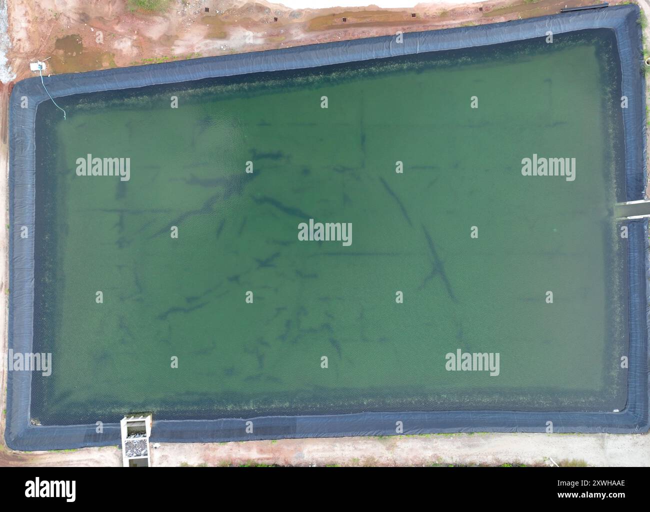 Aquaculture farming pond liner system. HDPE geomembrane technology ...