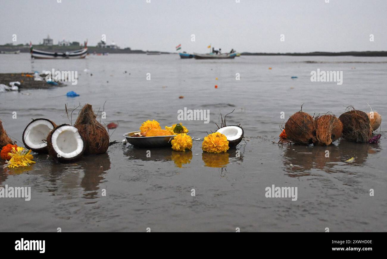 Coconuts are seen lying near the sea during 'Narali Poornima' (coconut ...