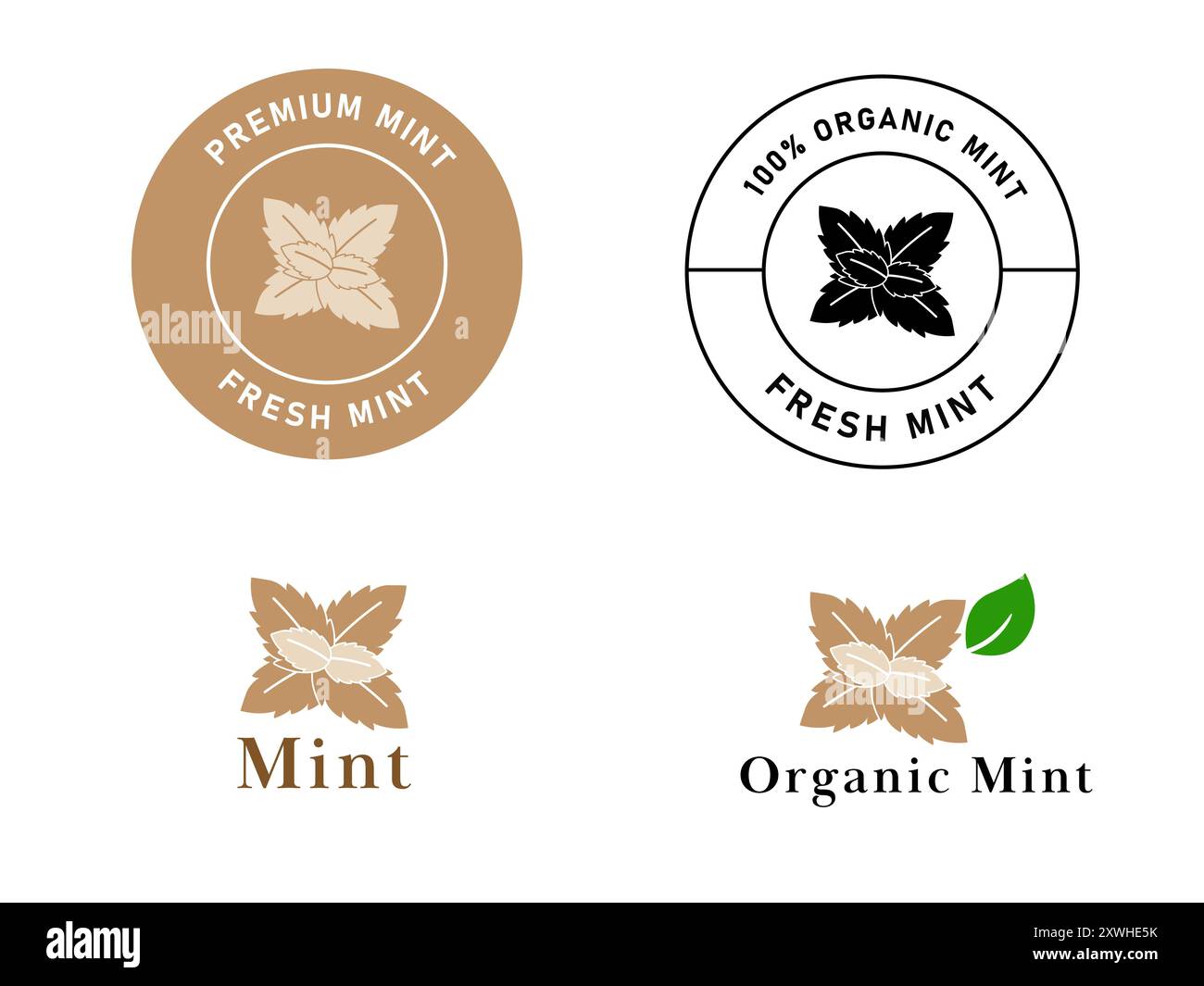 mint peppermint watermint logo organic ingredient food condiment spice ...