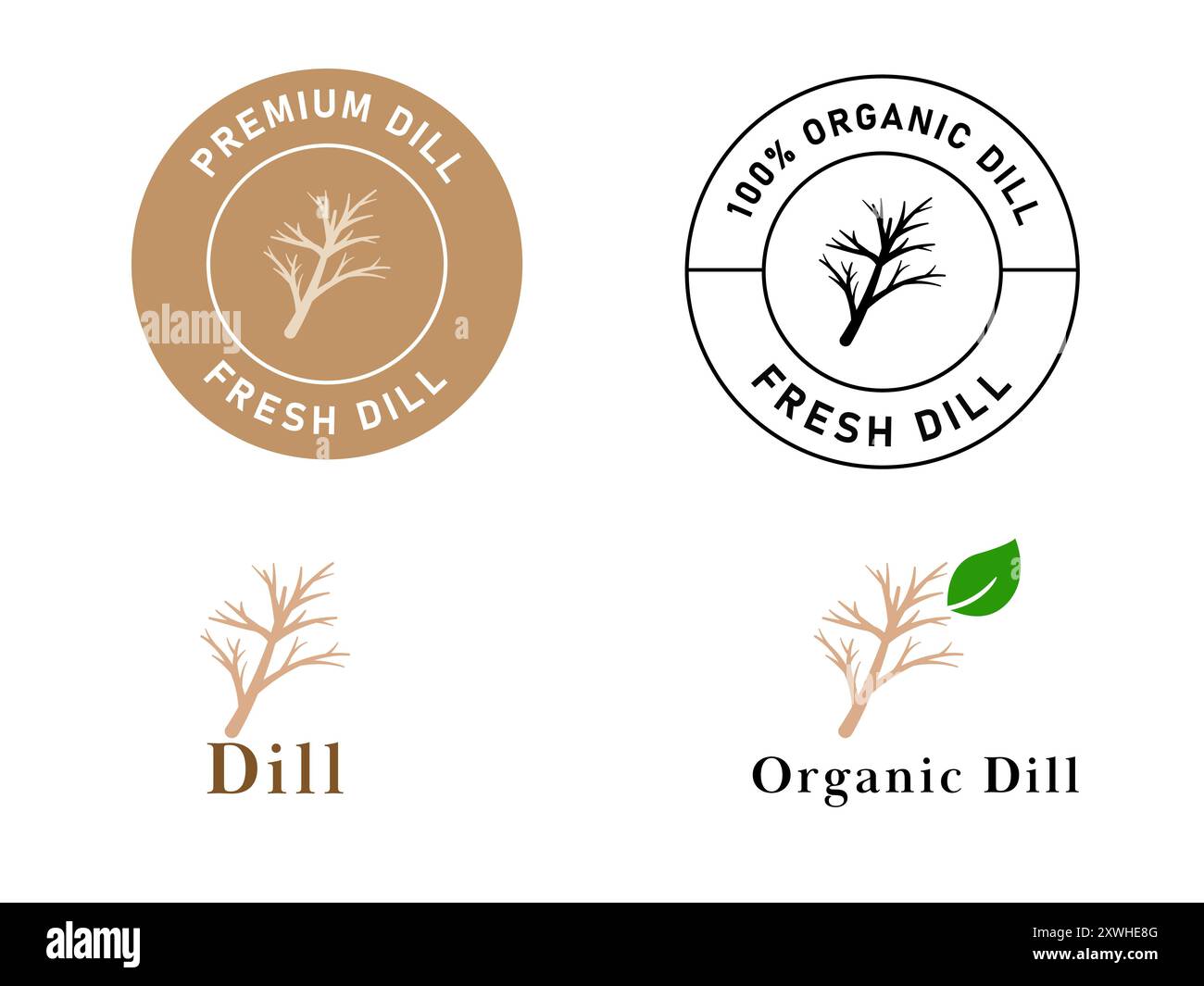 dill herb organic food ingredient condiment spice nature herbal ...