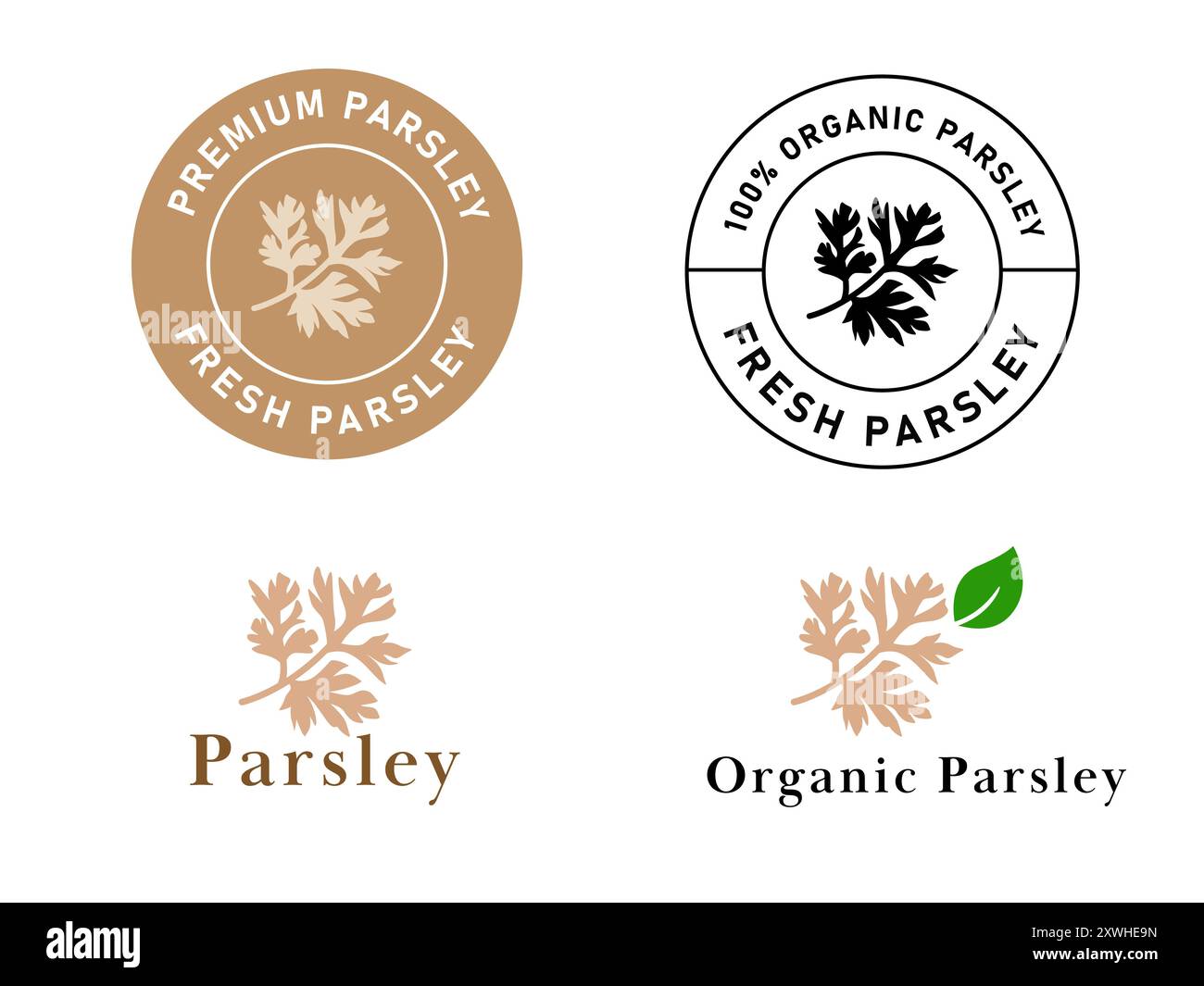 parsley label herb food ingredient organic condiment premium aromatic ...