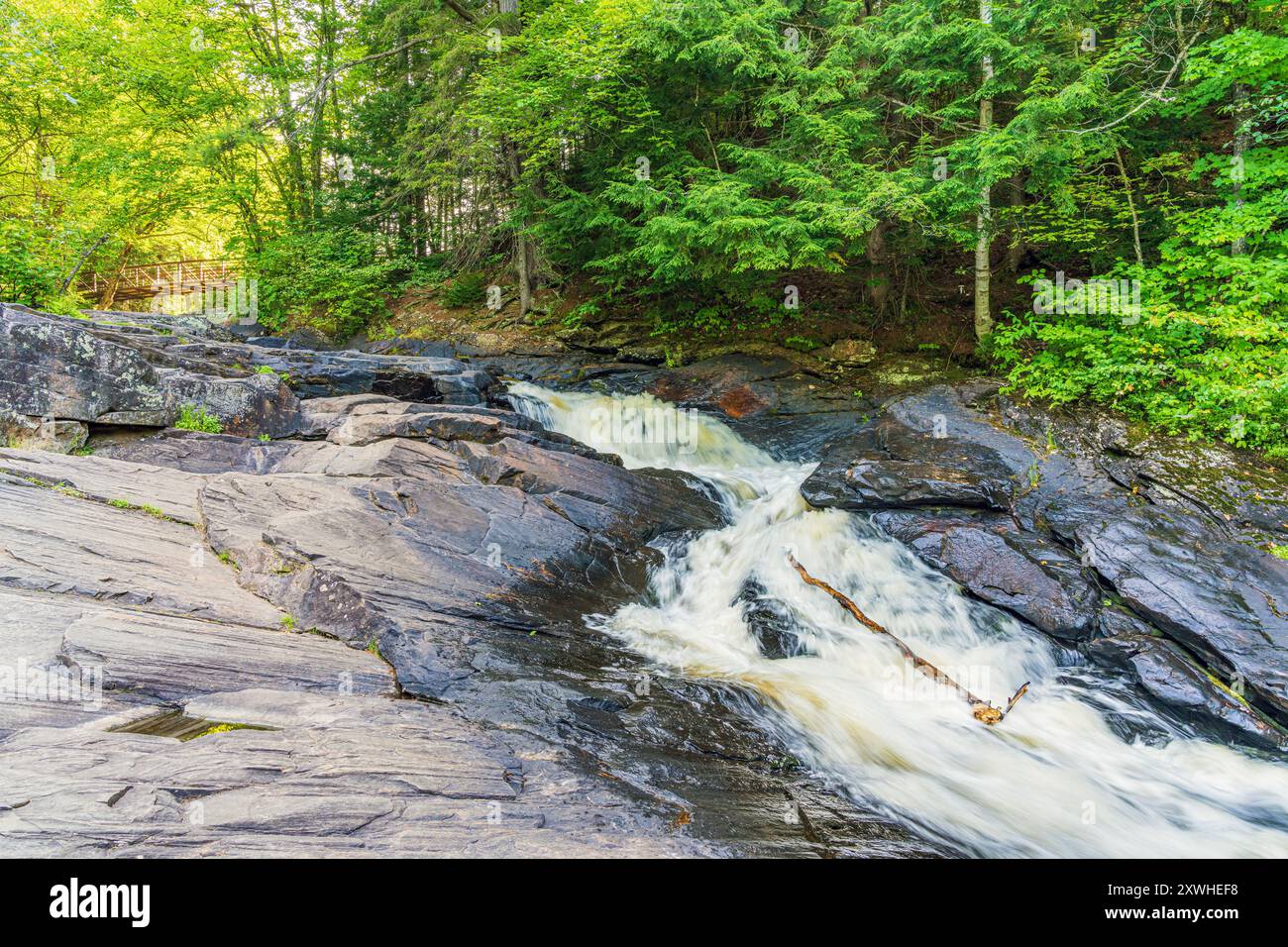 Arrowhead Provincial Park established in 1971 is a very popular tourist ...
