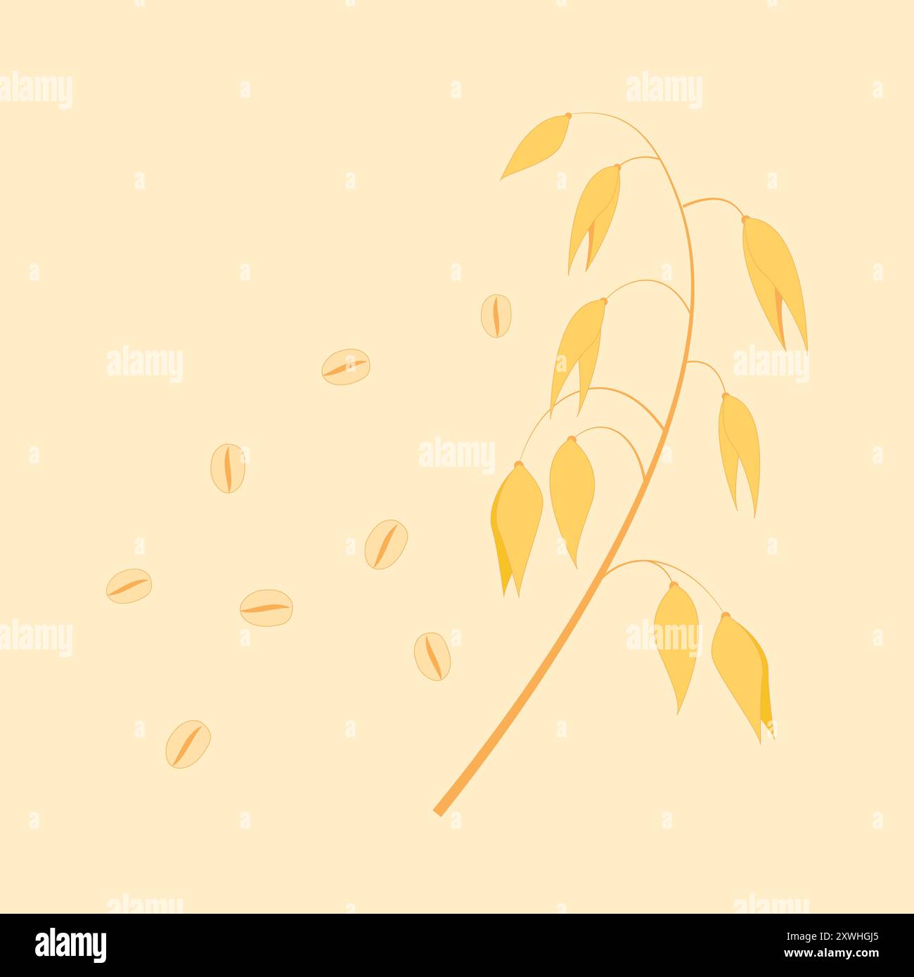 Oat spica and grains. Texture graphic set. Organic farm food and bio ...