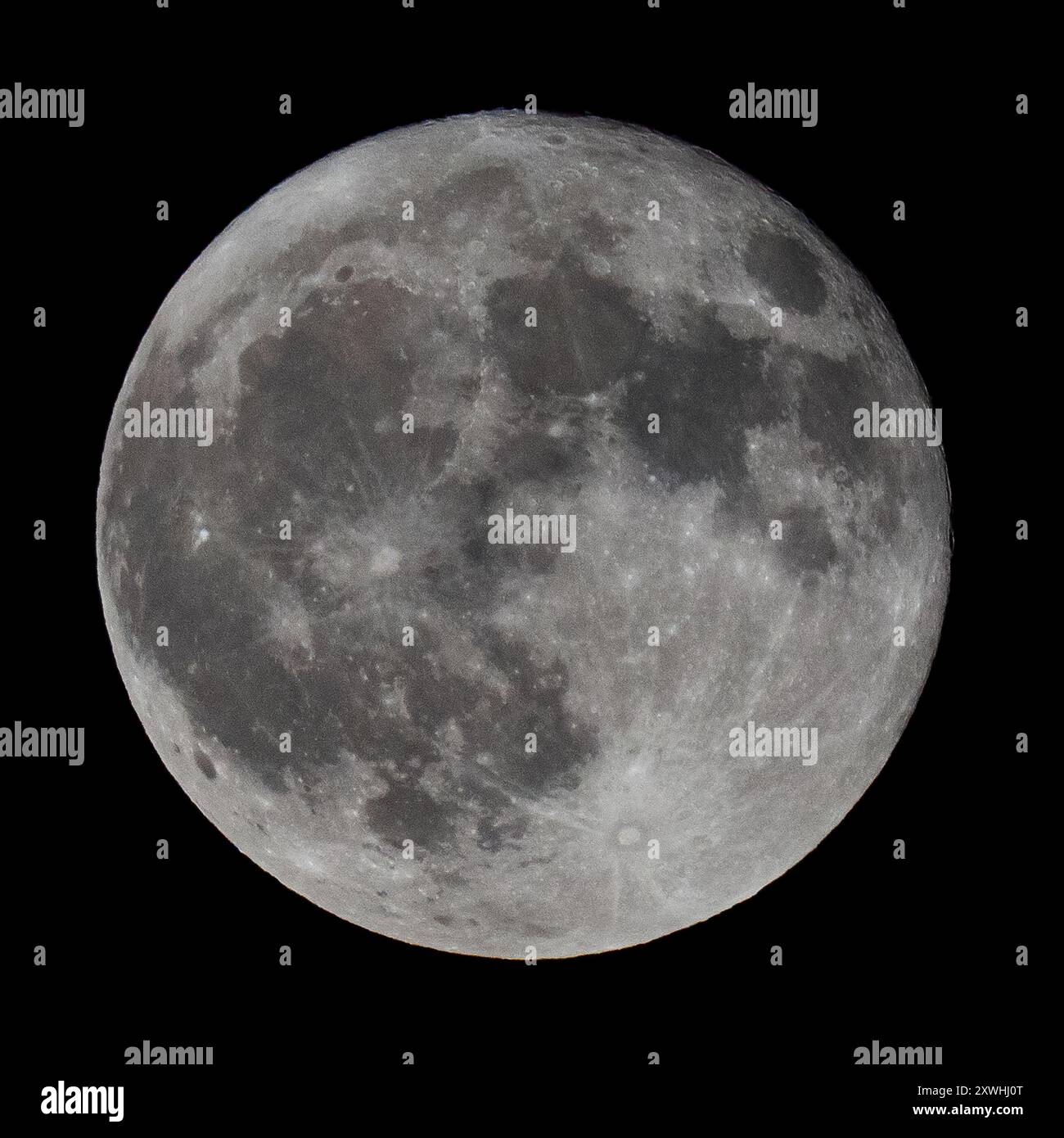 Close-up photo of the blue supermoon, shot from Los Angeles, California ...