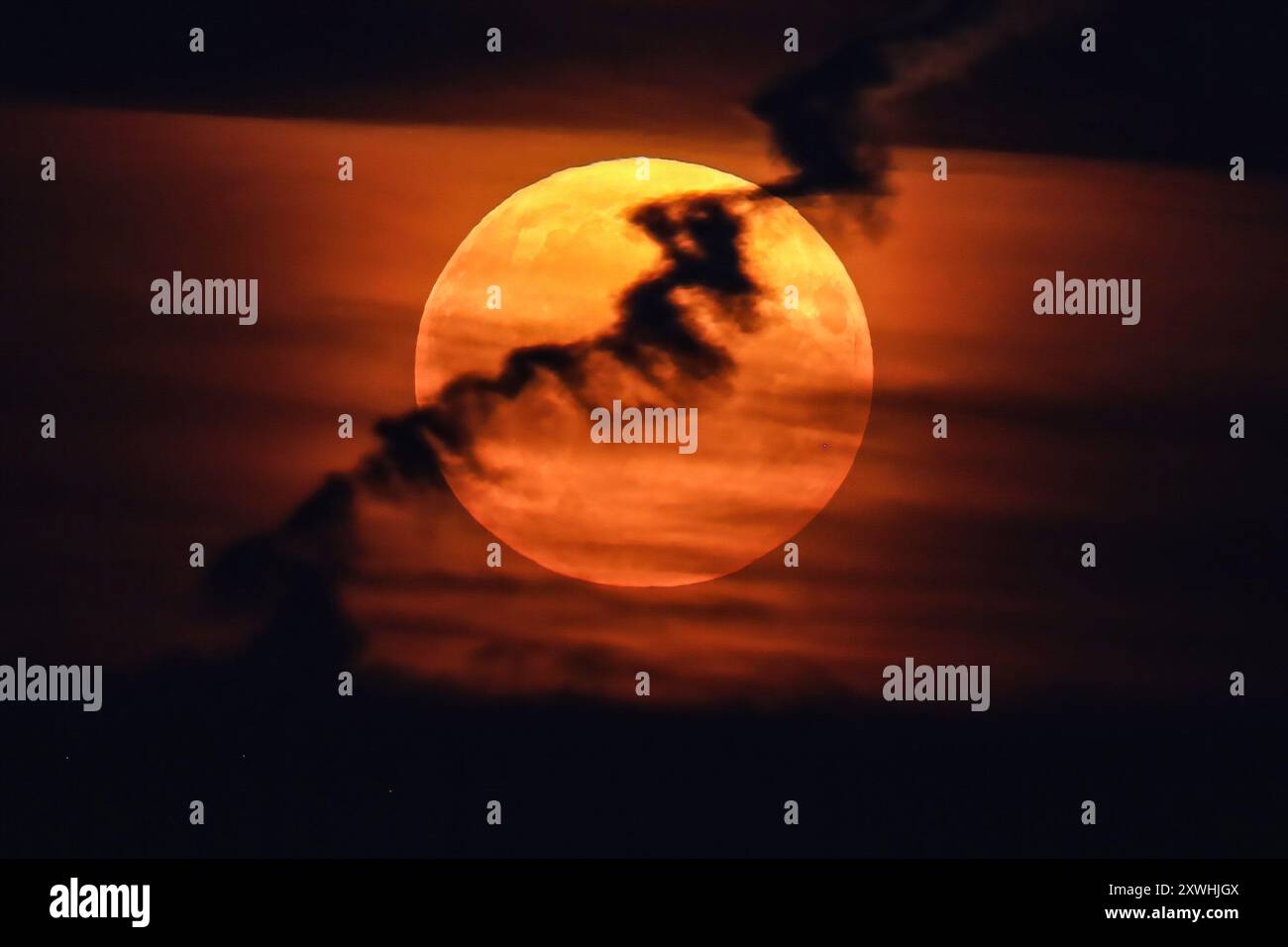 St. Petersburg, Russia. 19th Aug, 2024. A moon appears in the sky over ...